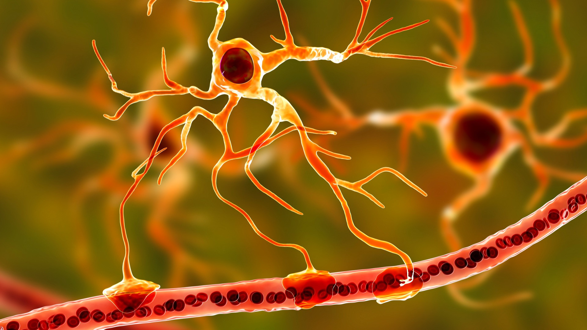 Microparticle therapy cures multiple sclerosis in mice, will it work in ...