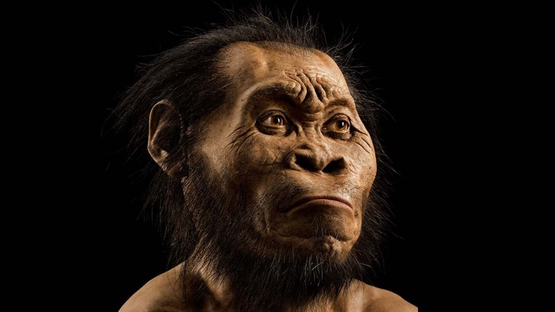 World’s oldest-known human burial site found in South Africa