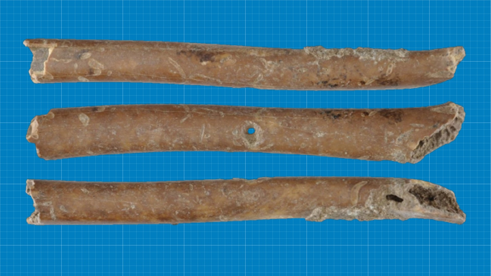 Archaeologists discover 12,000-year-old bone aerophones used by Natufians