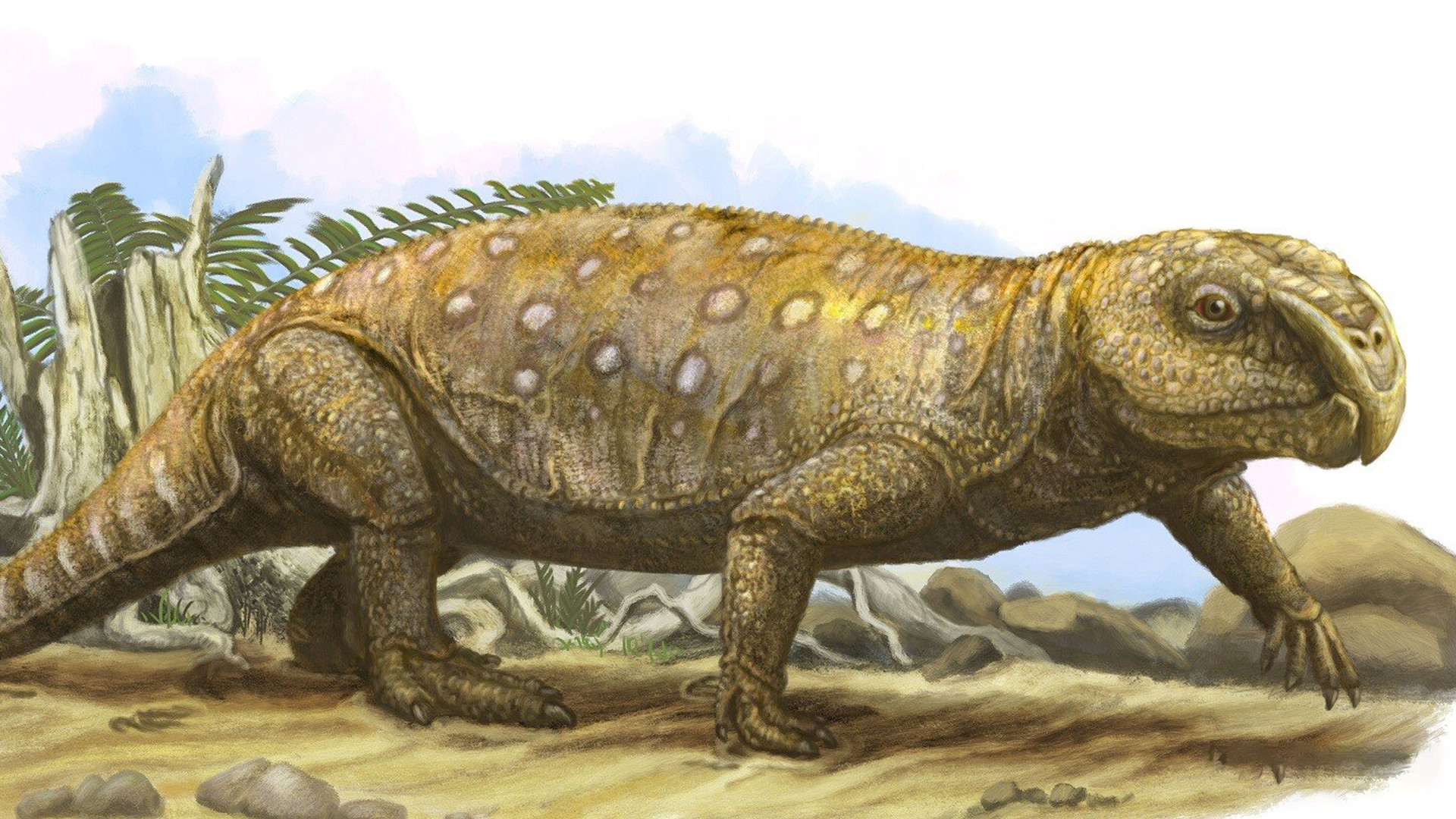 Why the plant-eating ancient reptile Rhynchosaur starved to death in ...