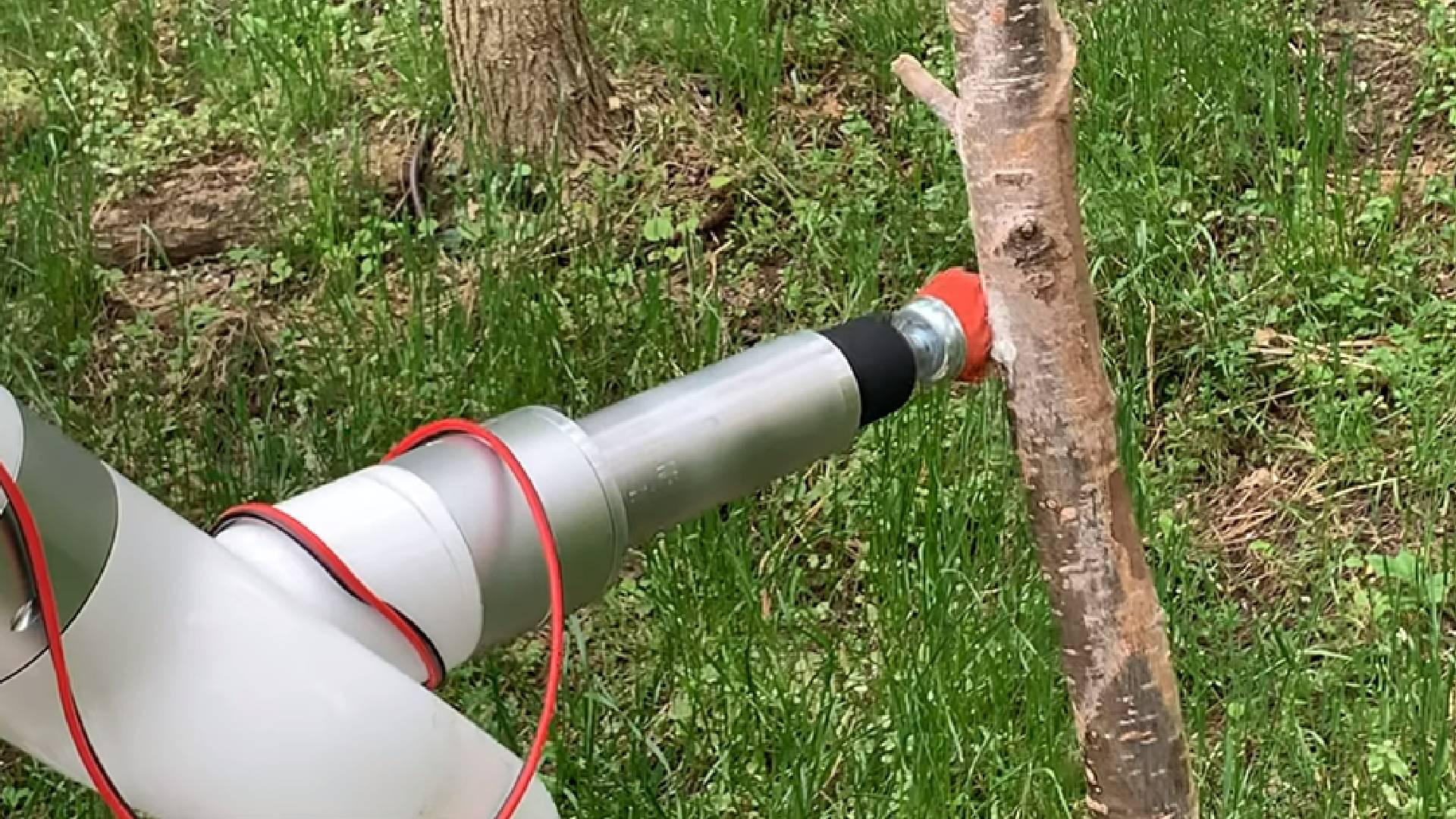 Students invent autonomous robot that eradicates invasive insects