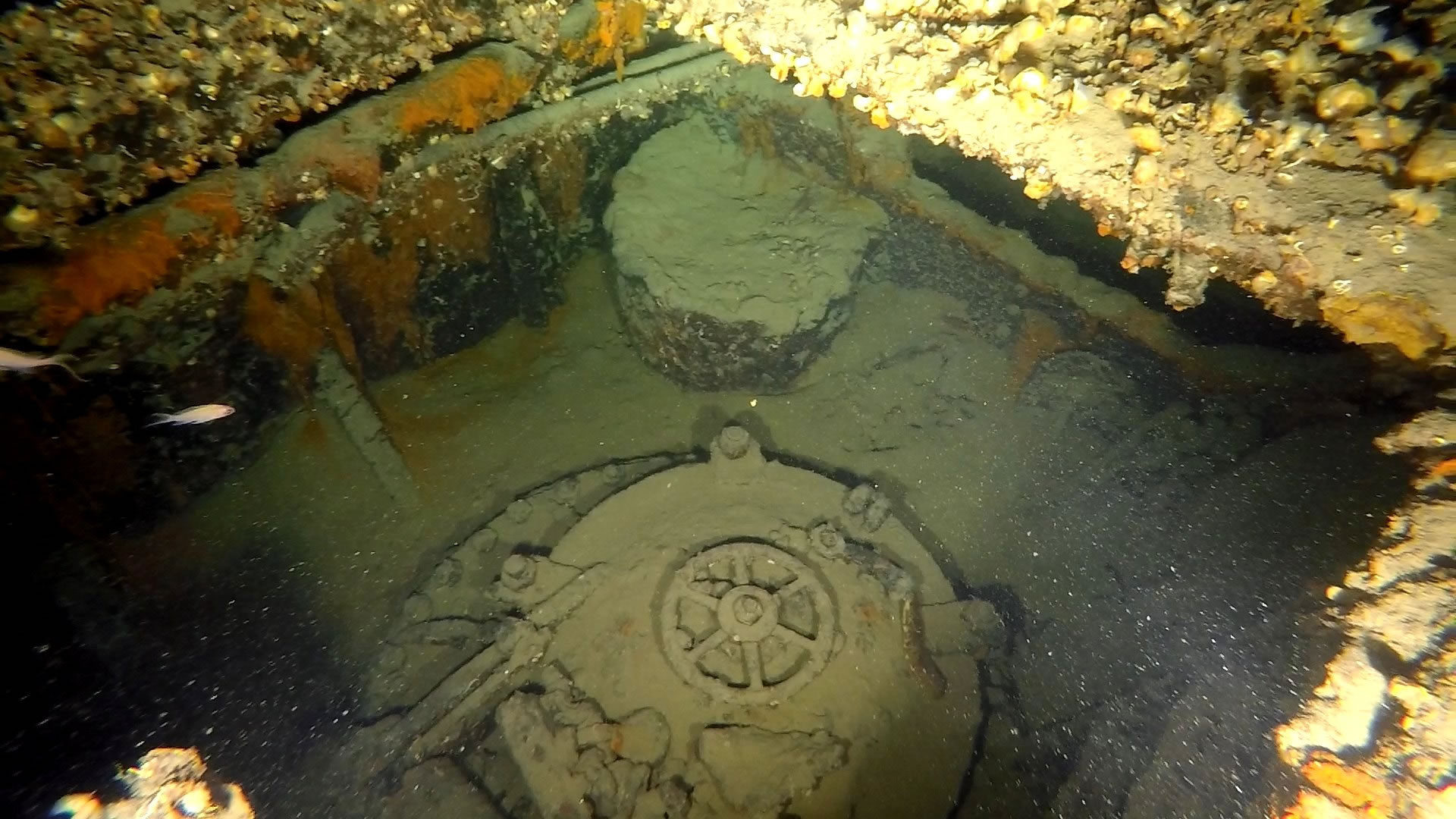 Wreck of a lost WW2 submarine, HMS Triumph, has finally been found