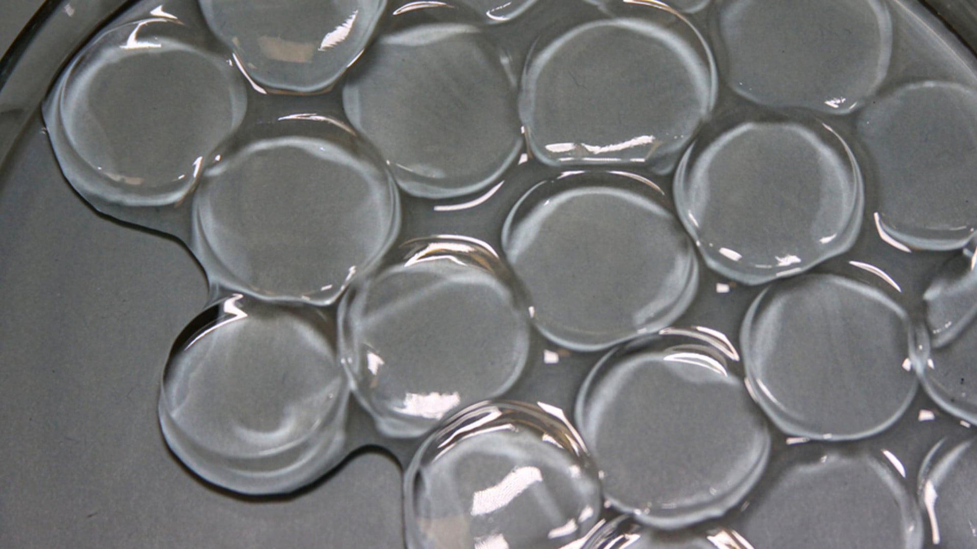 New salty gel can harvest pure water from dry desert air