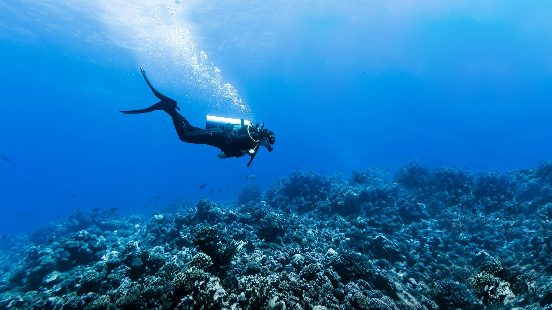 EU to implement connected underwater tech to study and protect oceans