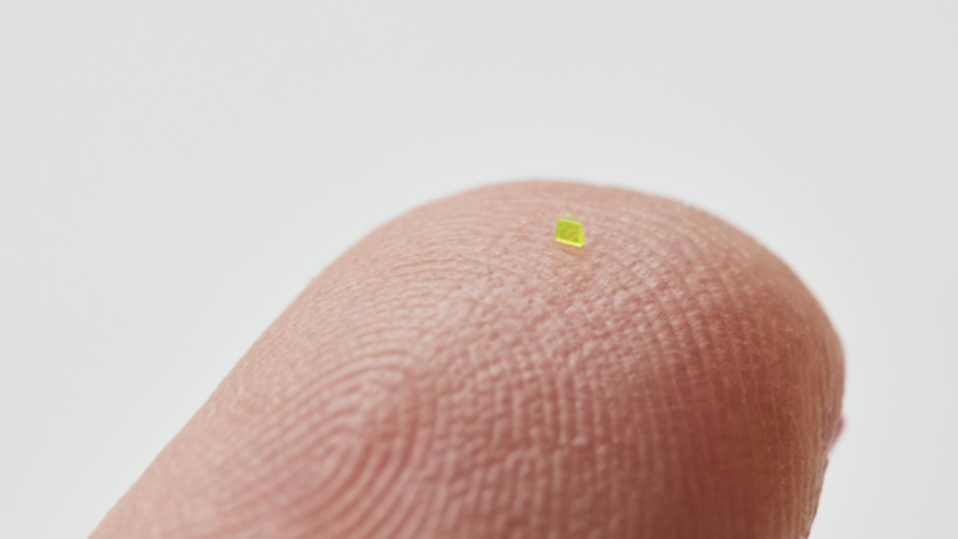 The ultra-tiny handbag that can only be seen with a microscope