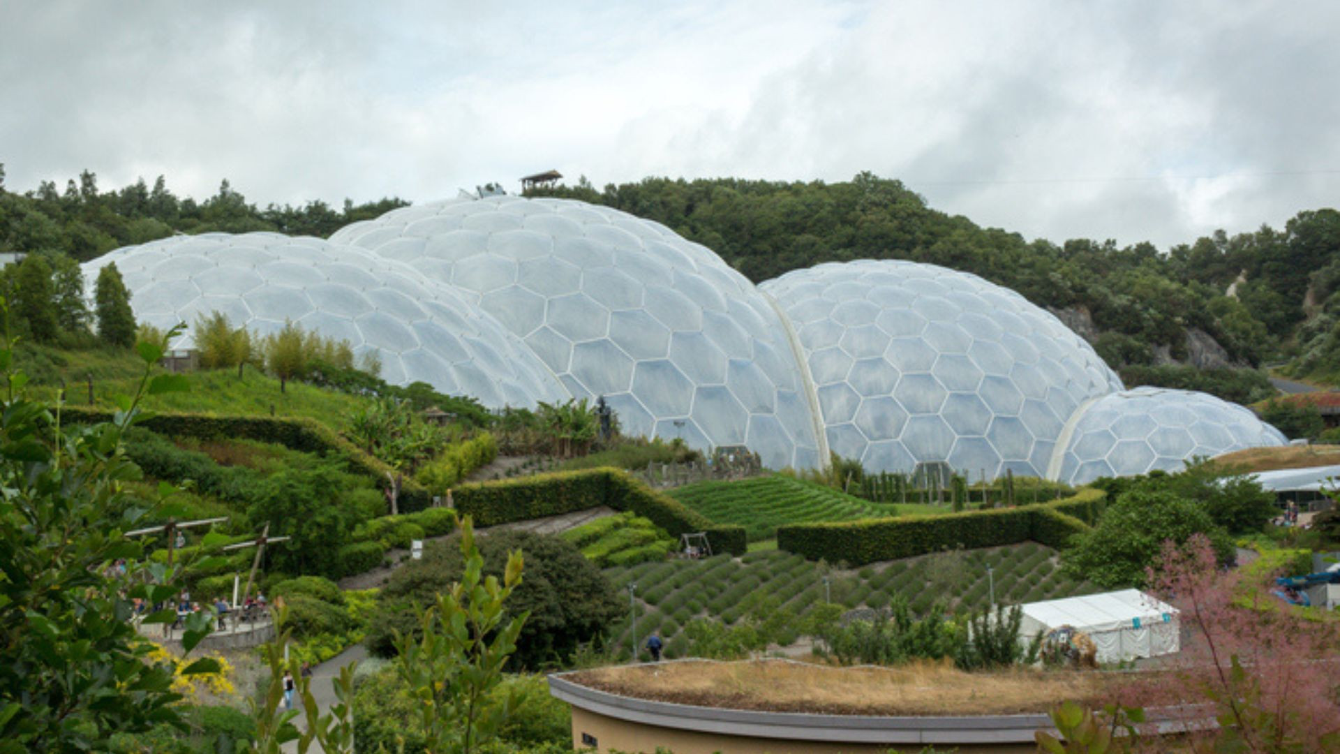 Eden Project debuts first operational deep geothermal energy plant in ...