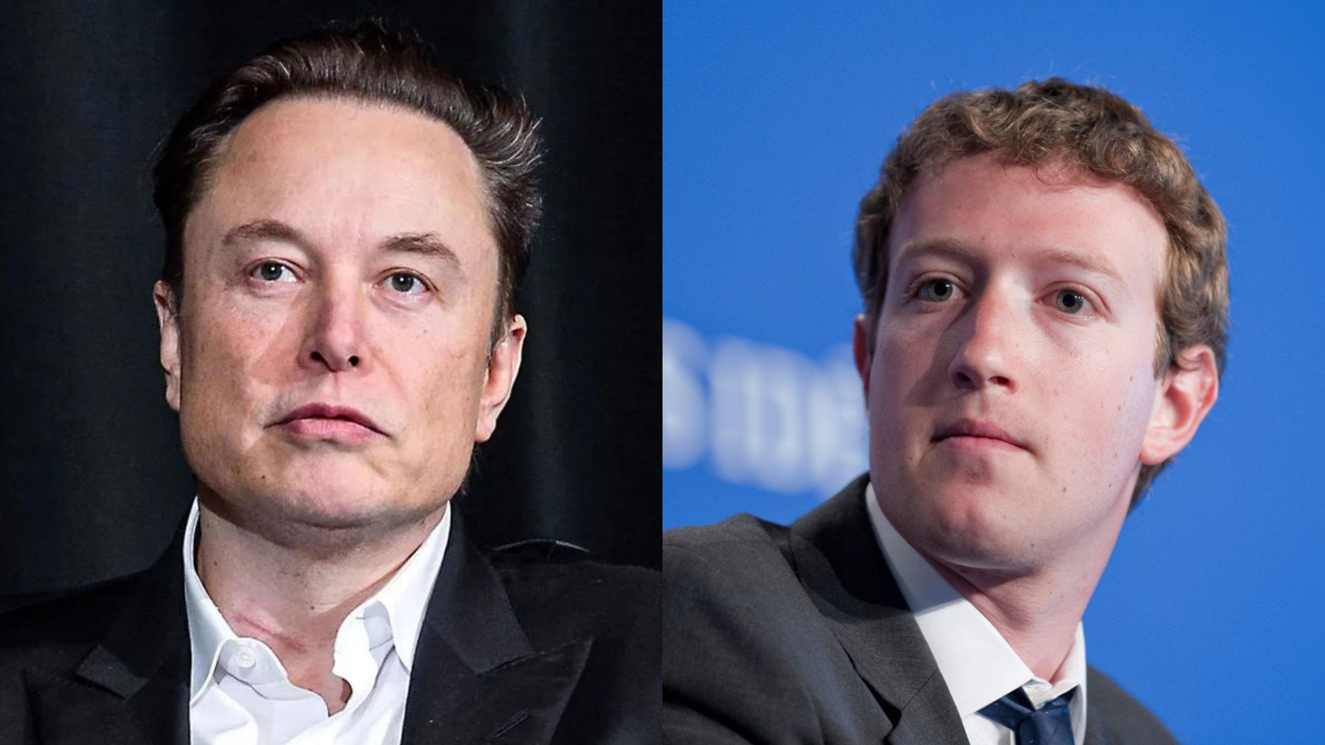 Nerd fight: Zuck vs Musk cage fight gathers momentum