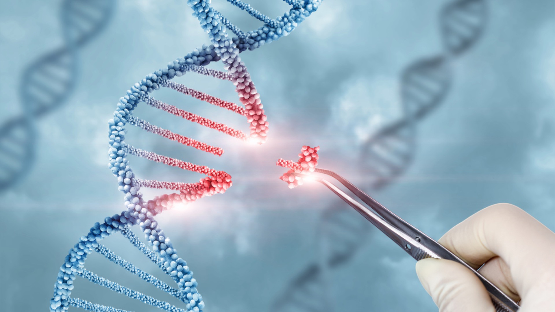 CRISPR-like system capable of editing human genome uncovered in eukaryotes