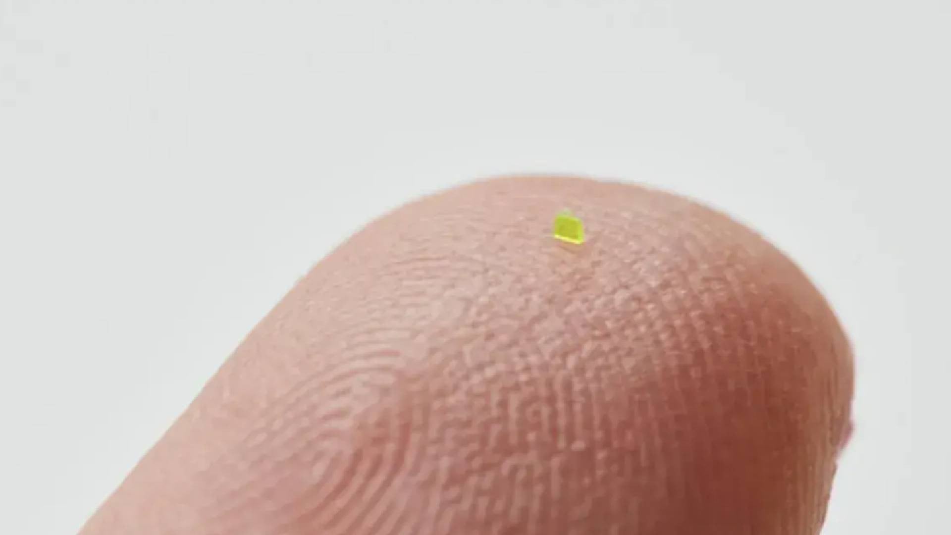 Microscopic Louis Vuitton handbag auctioned for $63,750