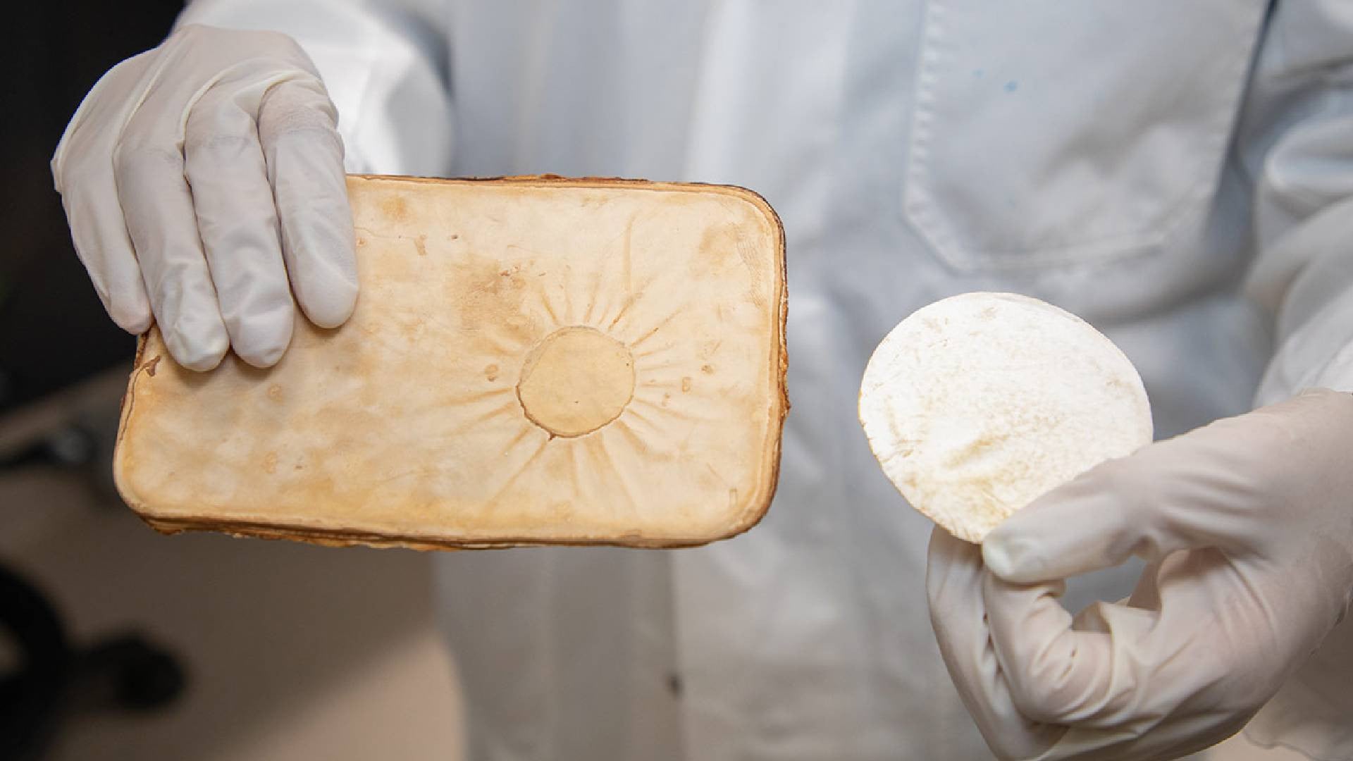 This new fire-proof material is made from fungus and could save your home