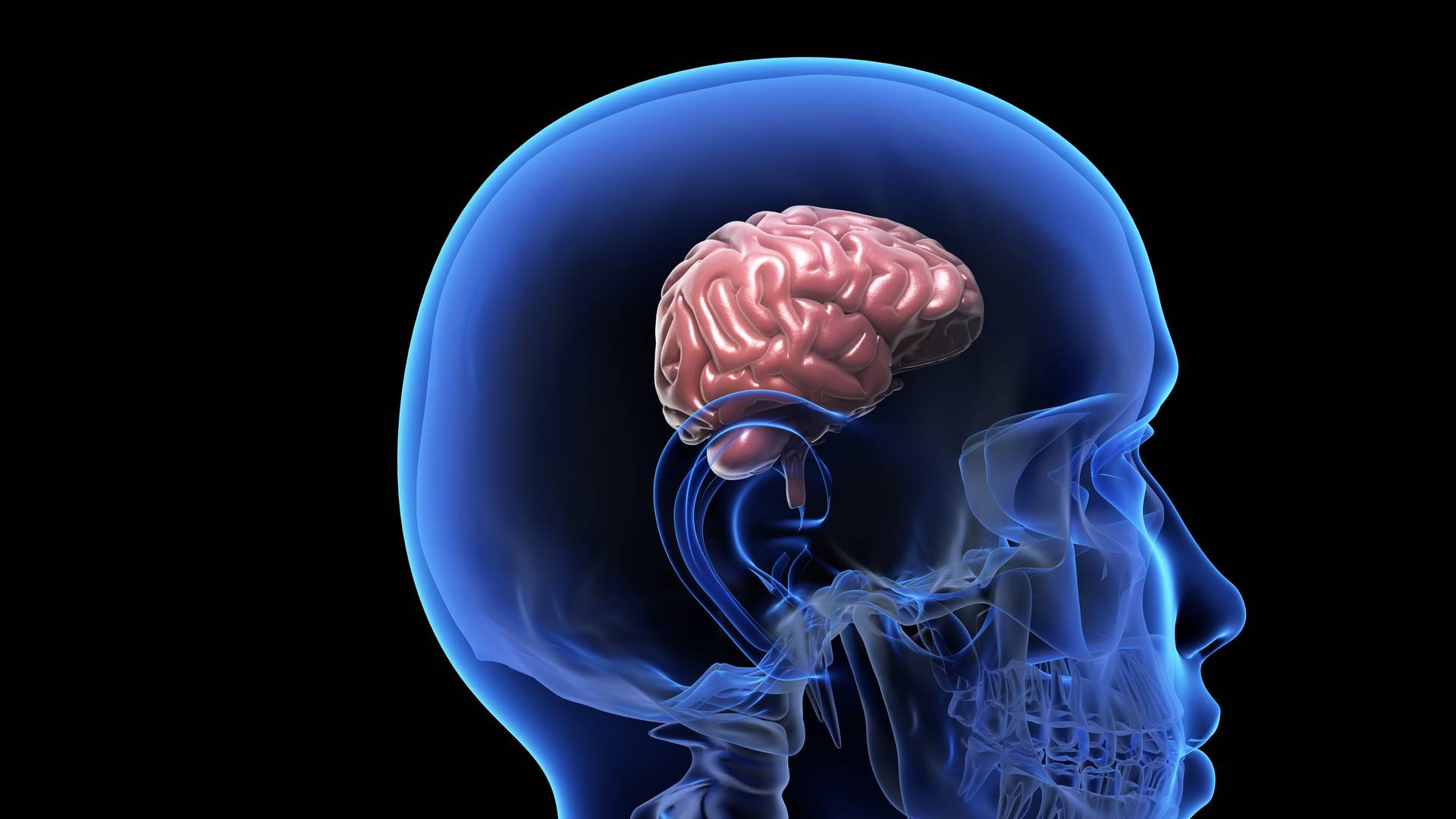 New lab-grown mini brains could treat neurodegenerative diseases