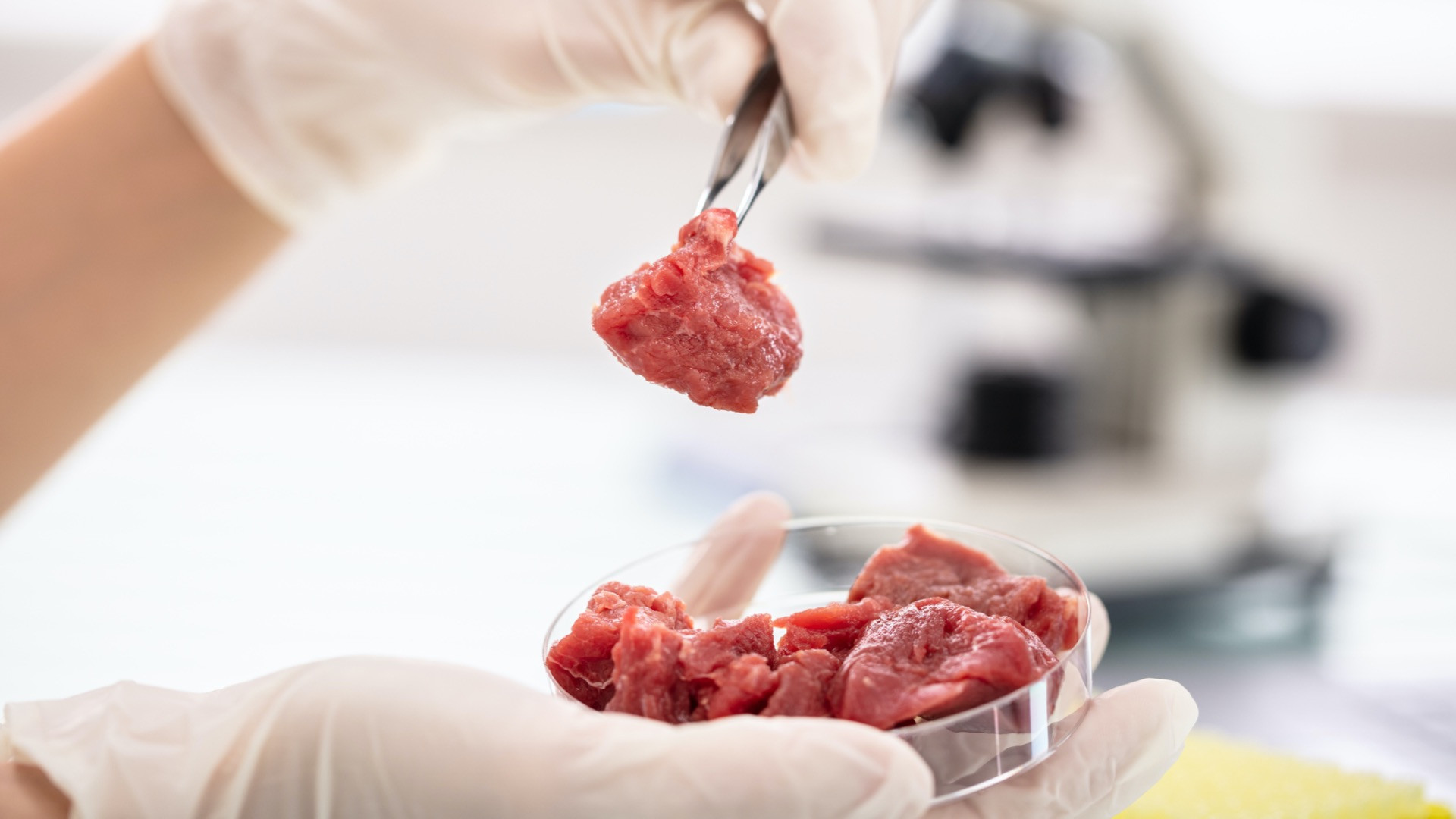 Cultivated meat may soon reach European plates