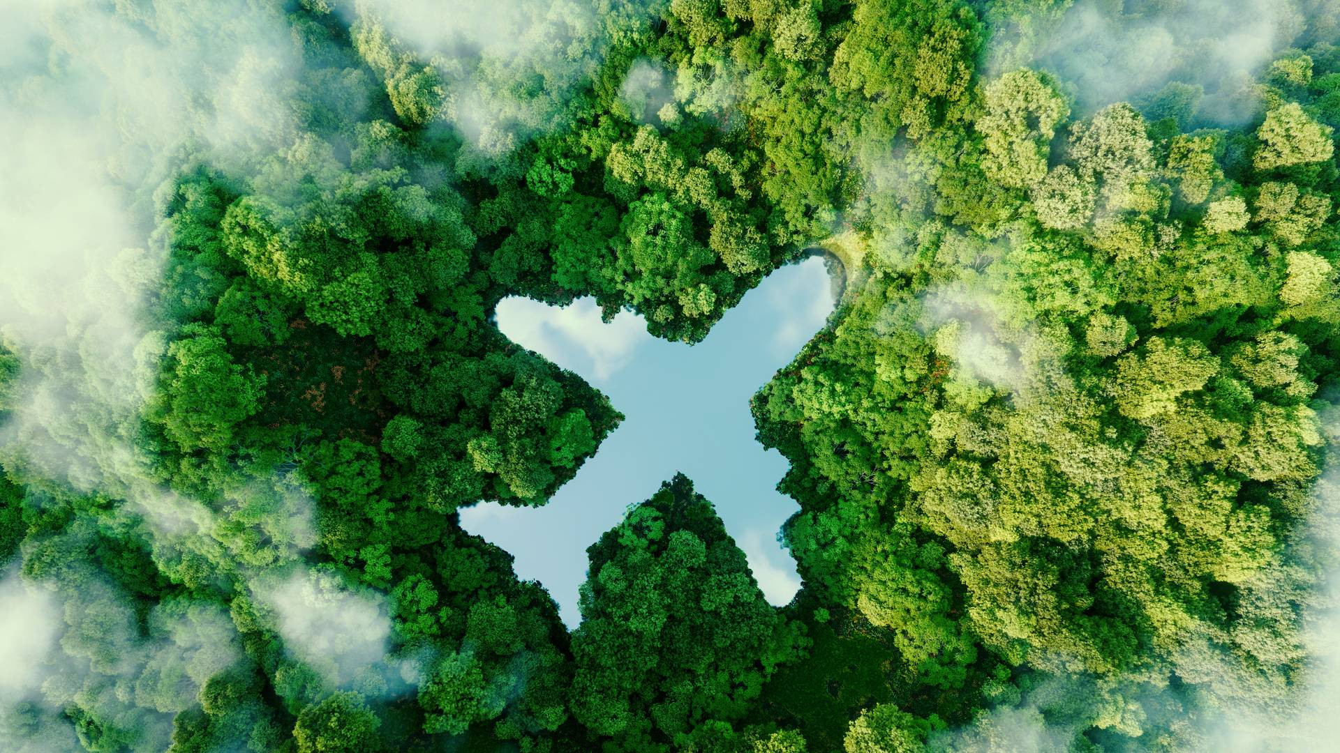 Waste to wings: Start-up aims for clean, sustainable air travel