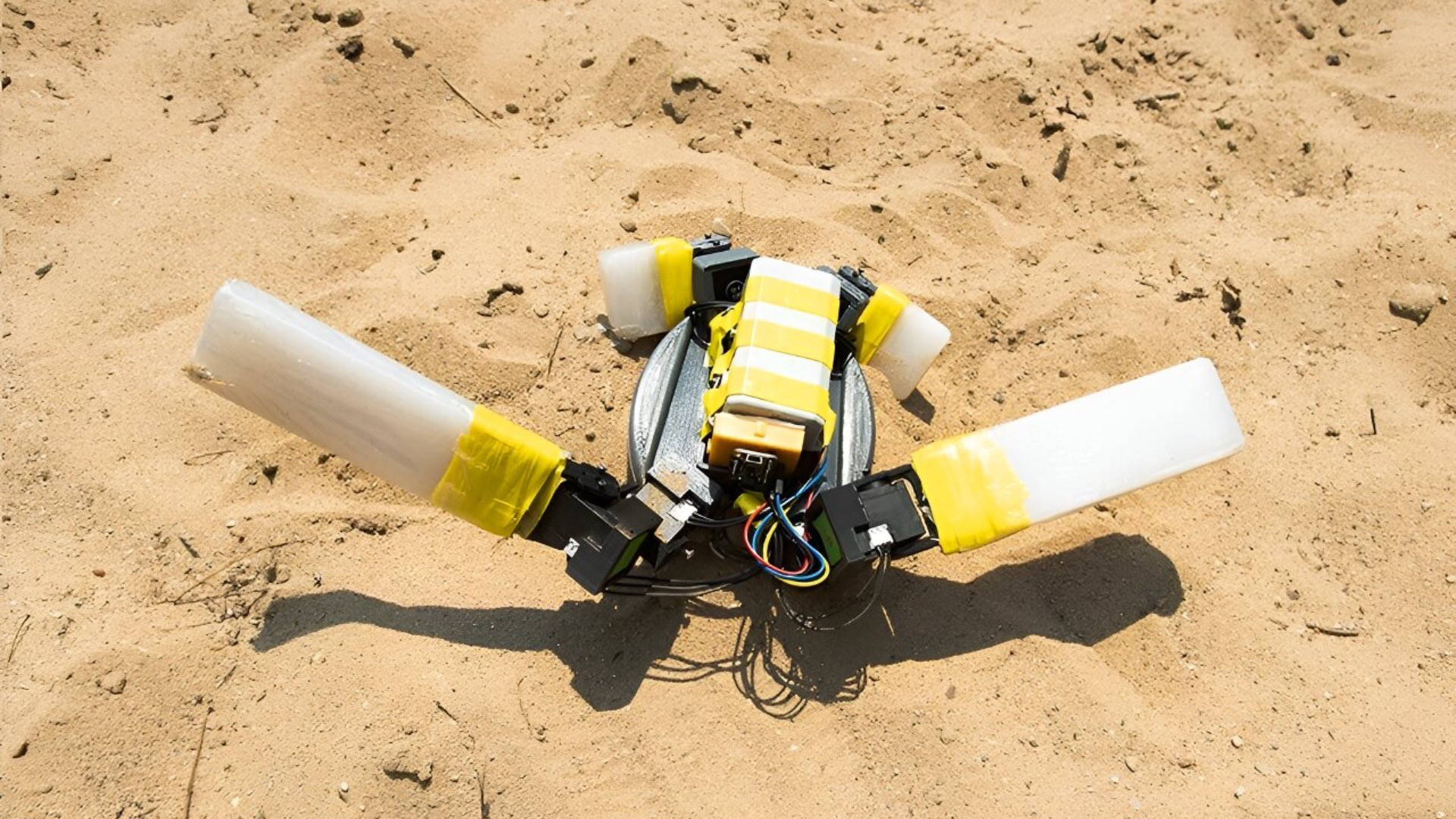 New robotic sea turtle could protect and guide hatchlings