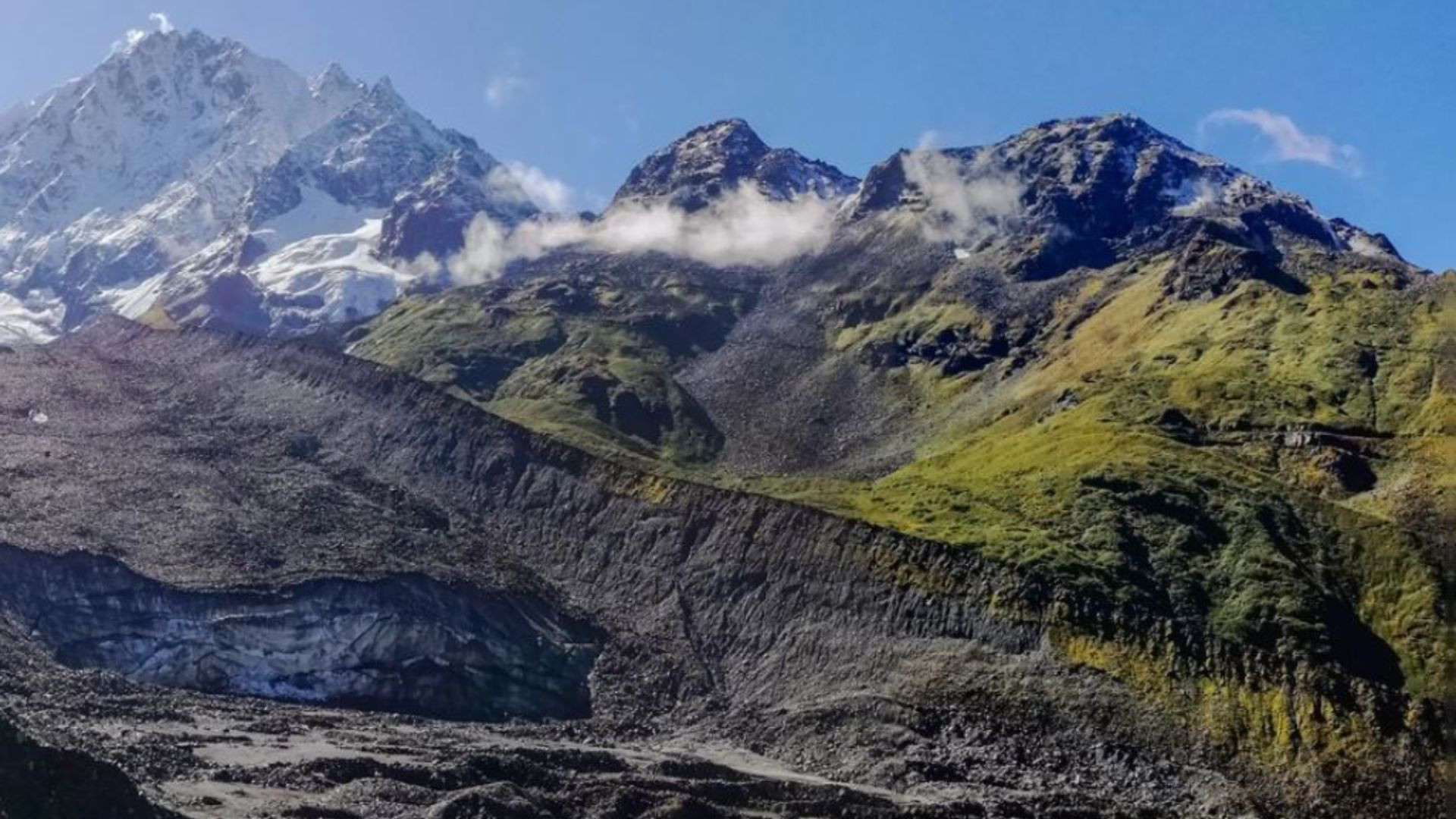 Ancient moss, Takakia may not survive climate change