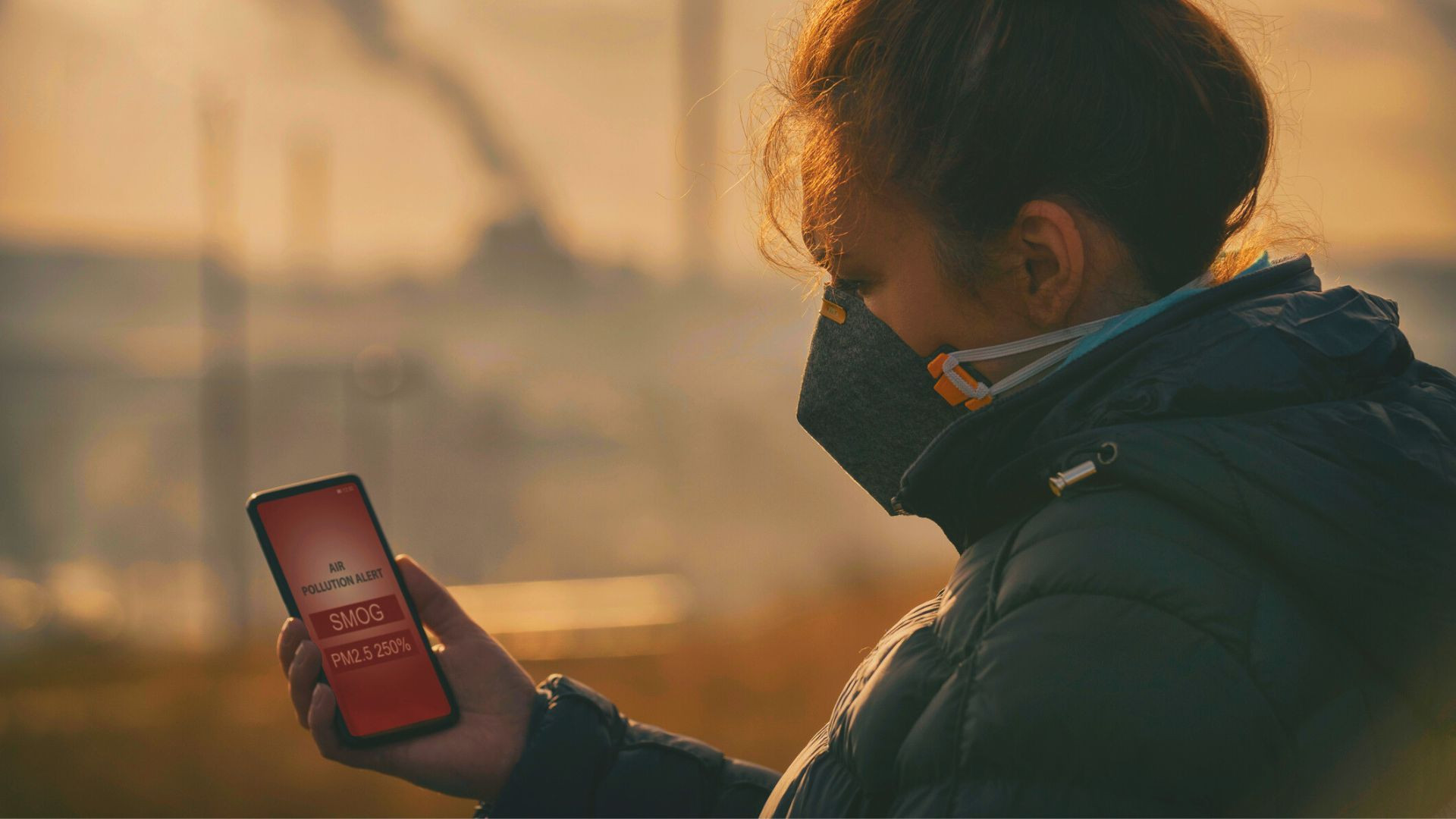 Air pollution makes bacteria harder to kill, research finds