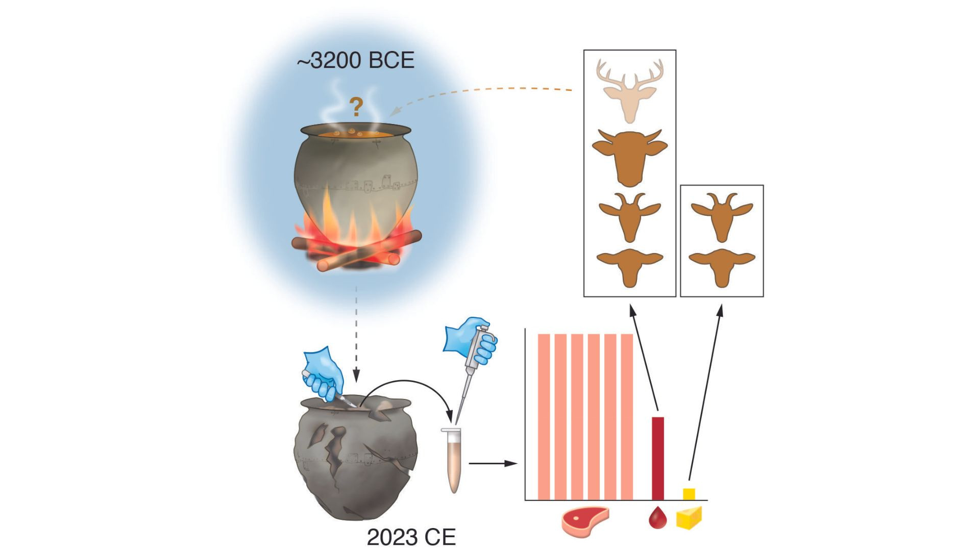 Rare cauldrons tell us what feasts were like 4000 years ago