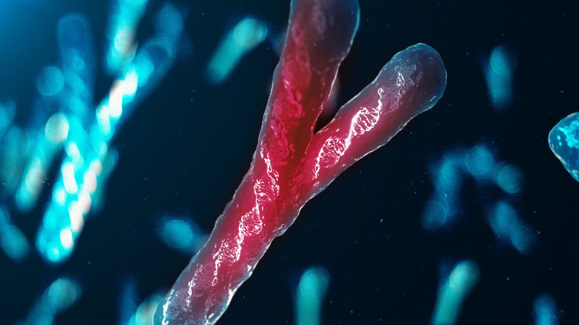 Scientists finally uncover complete Y-chromosome sequence