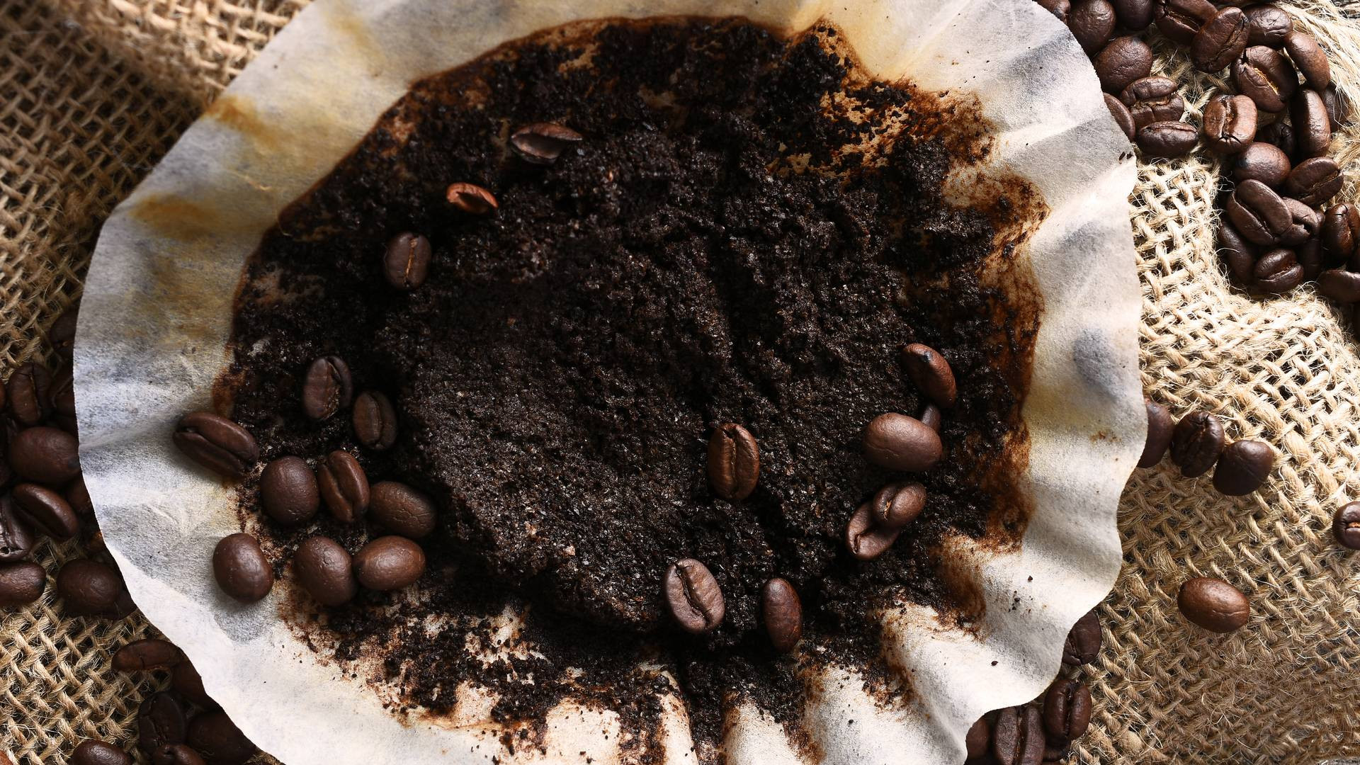 Scientists use coffee waste to make concrete 30% stronger