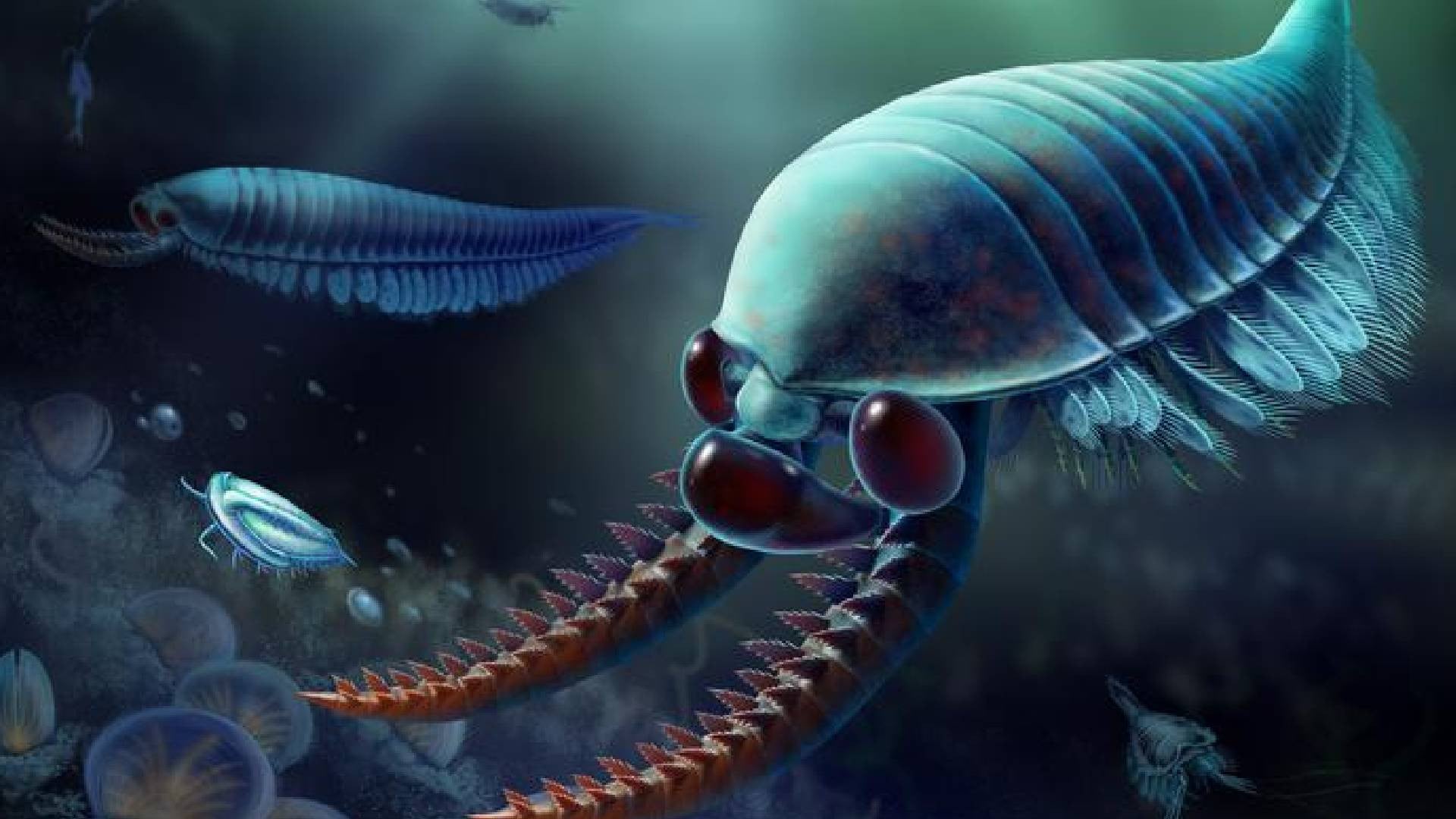 520-million-year-old animal fossil fills gaps in evolution