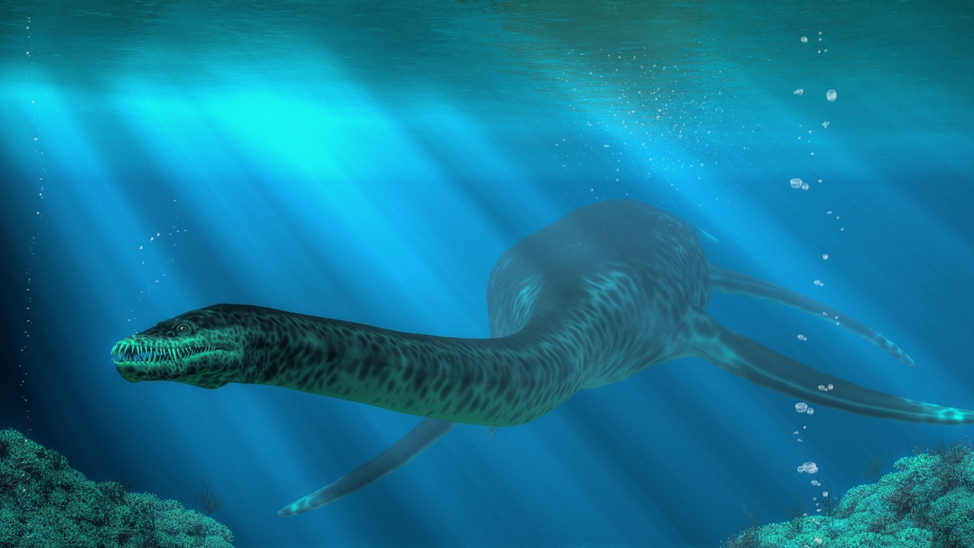 Fossils of short-necked ancient marine reptile found in China