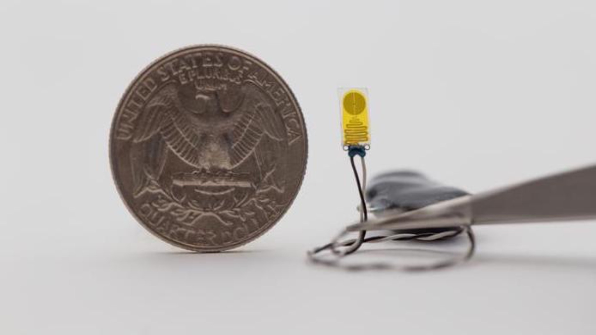 Bluetooth-enabled device warns if body rejects a new organ