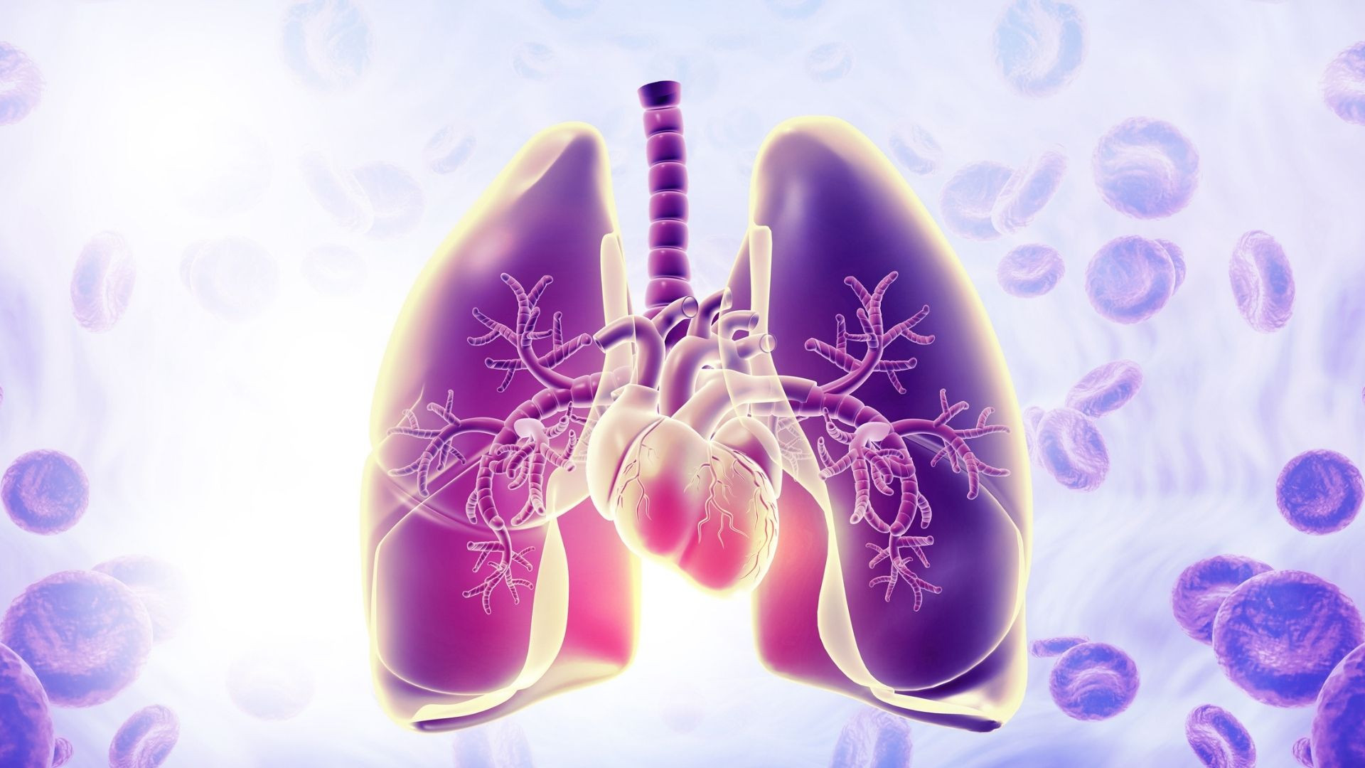 Patients' own lung cells can cure severe respiratory disease