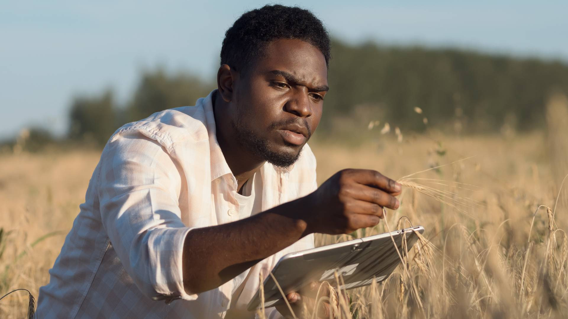 Digital technology helps farmers affected by climate change