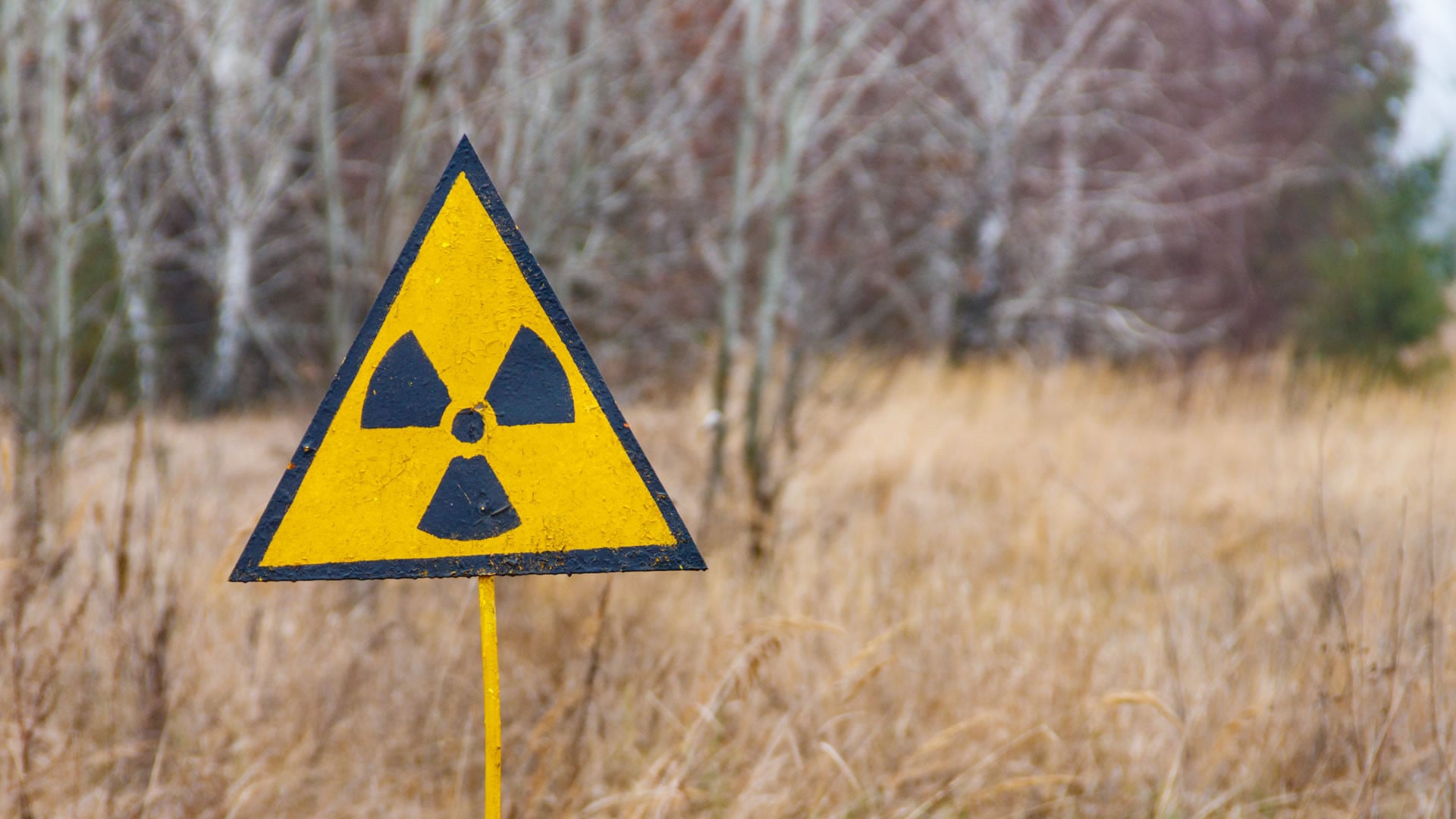 Chernobyl's 'Exclusion Zone' to host massive 1GW wind farm