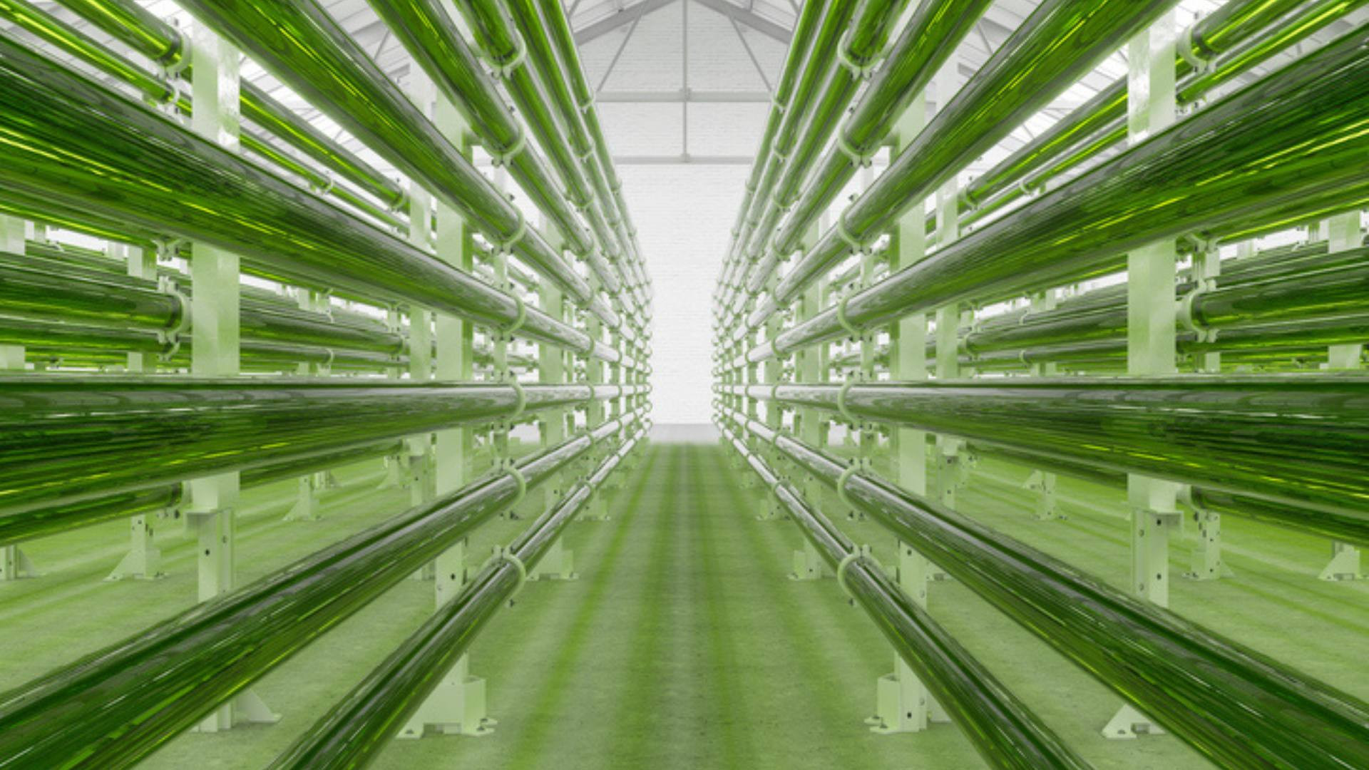 Is carbon capture the missing piece in the net zero puzzle?