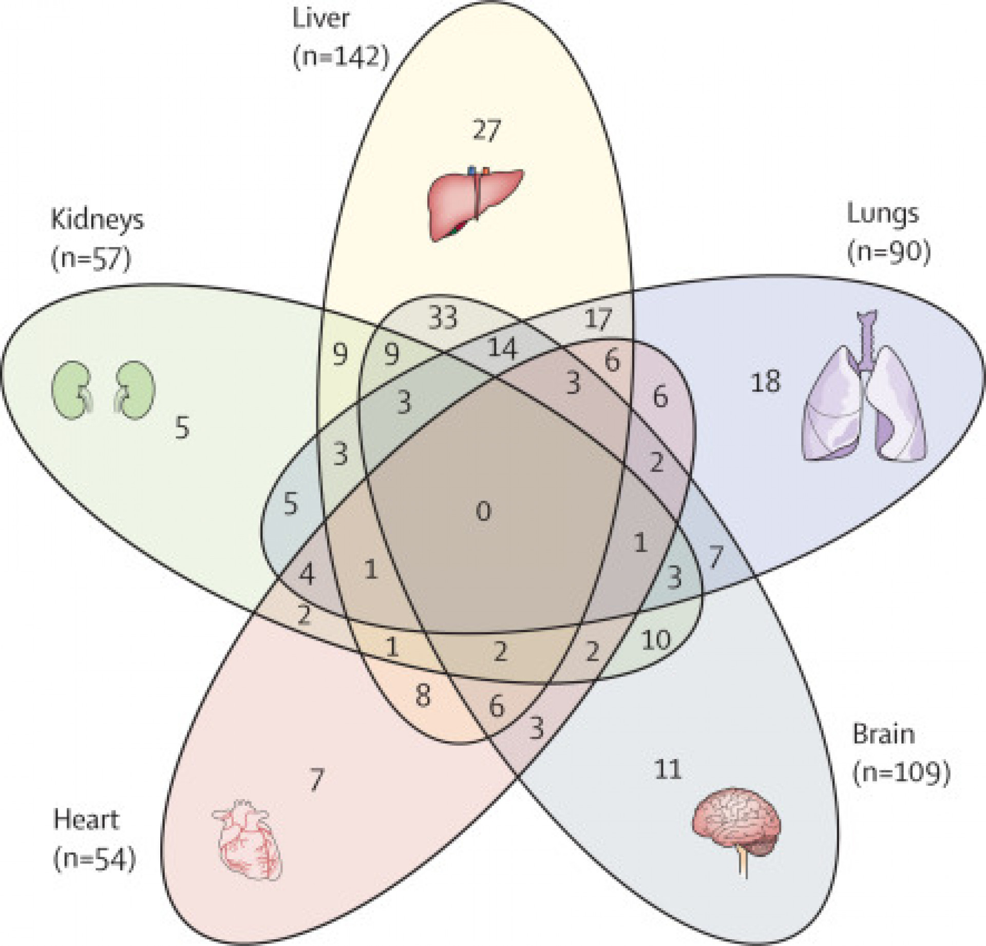 MRI reveals long-term organ abnormalities after COVID-19