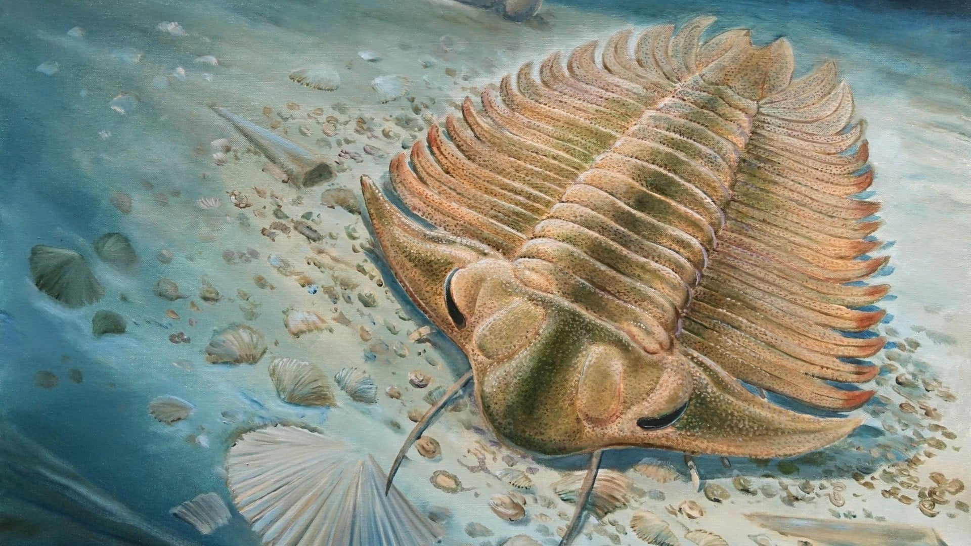 465-million-year-old trilobite fossil reveals its last meal