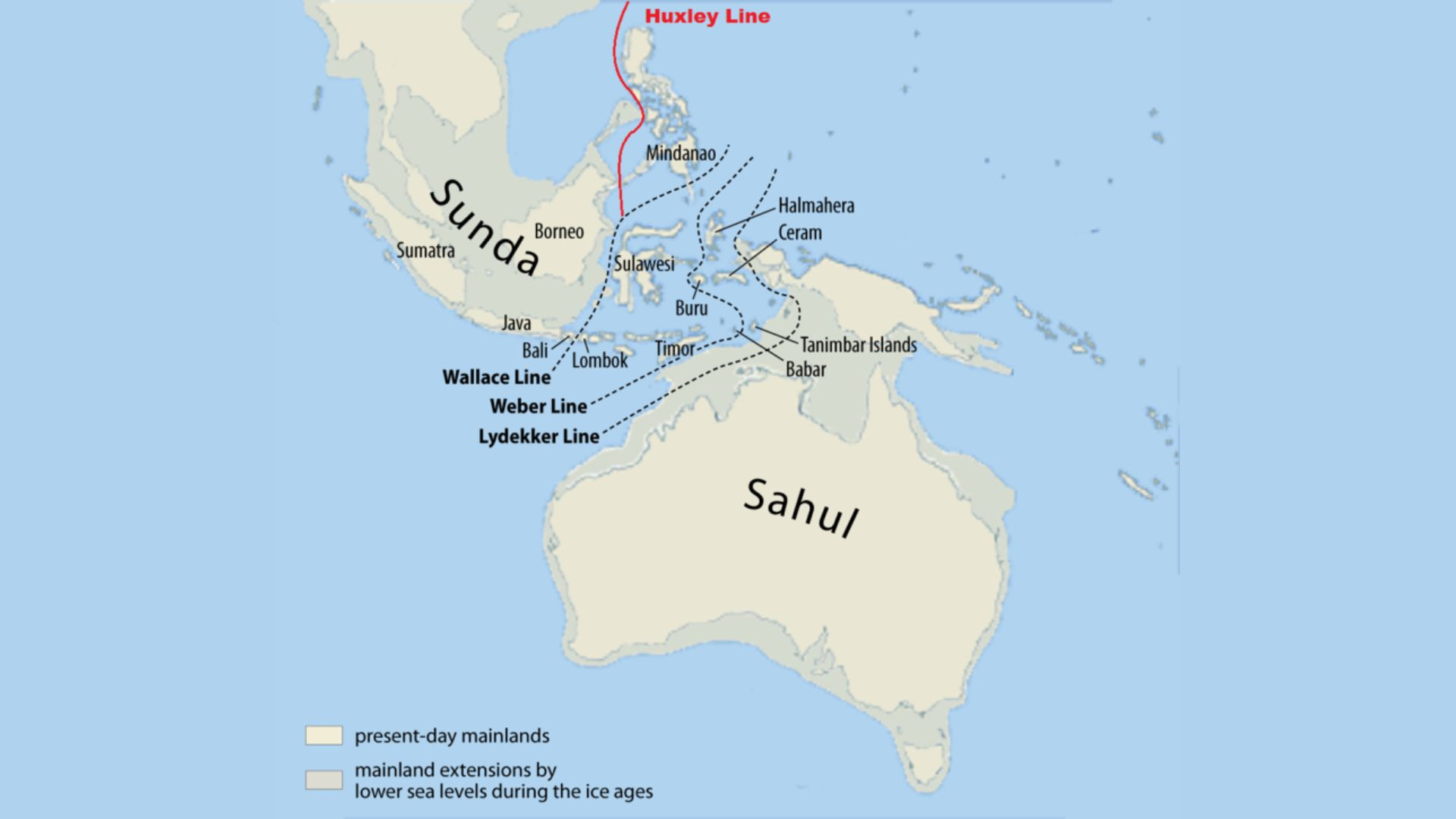 The hidden barrier: Why most animals don't cross the Wallace Line