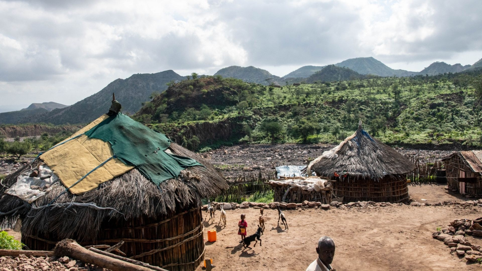 Human interbreeding contributed 6% to Neanderthal genome, finds study