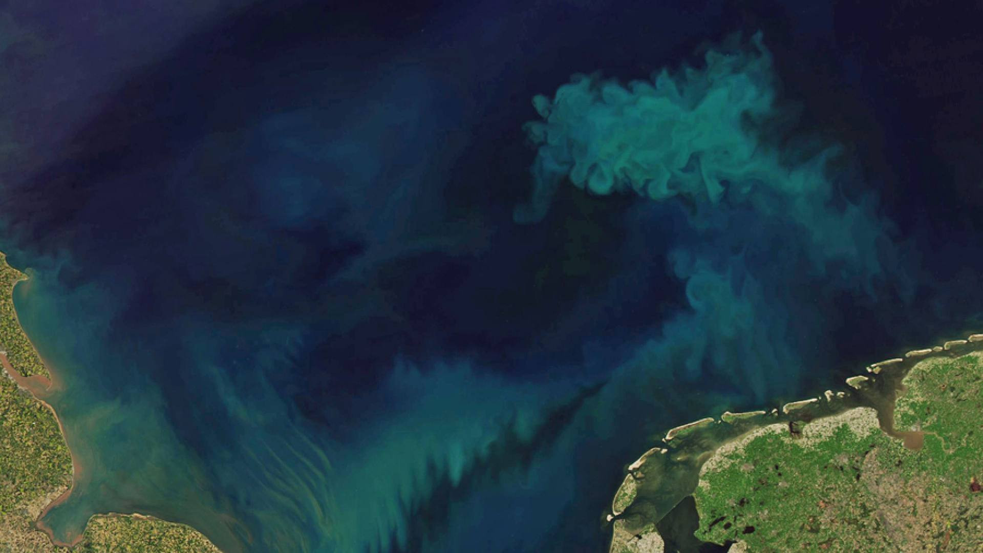 Why Earth's oceans are losing their blue color