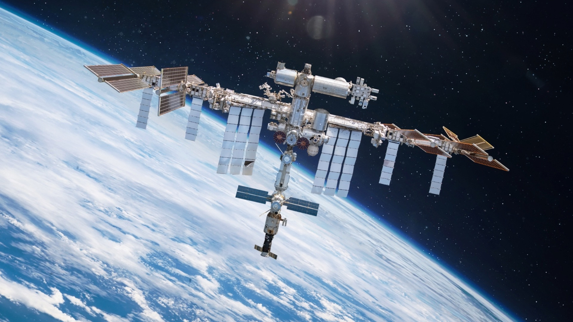 In a major first, mouse embryos grown at International Space Station