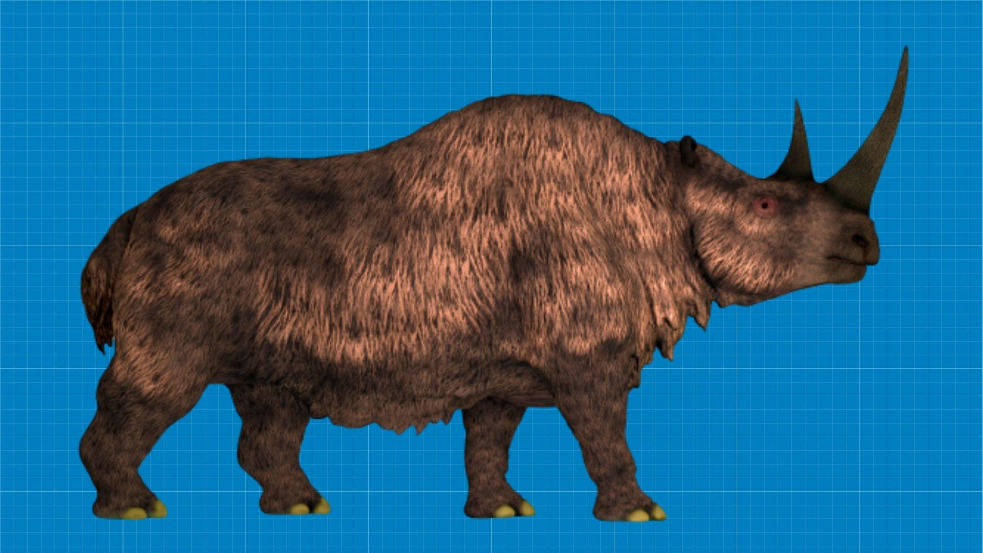 14,000-year-old hyena poop reveals secrets of extinct wooly rhinos