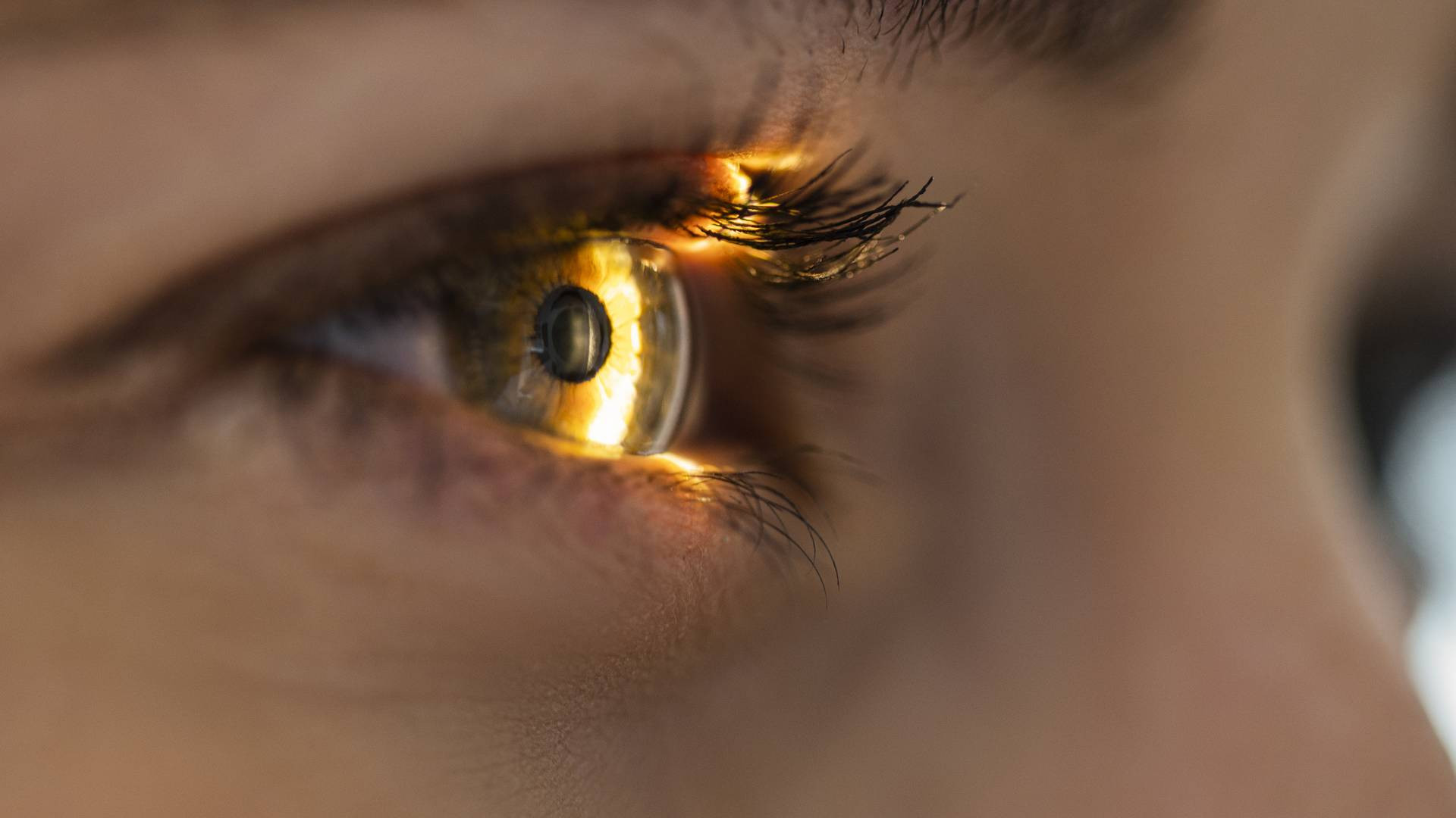 This intelligent biochip imitates the human retina to perfection