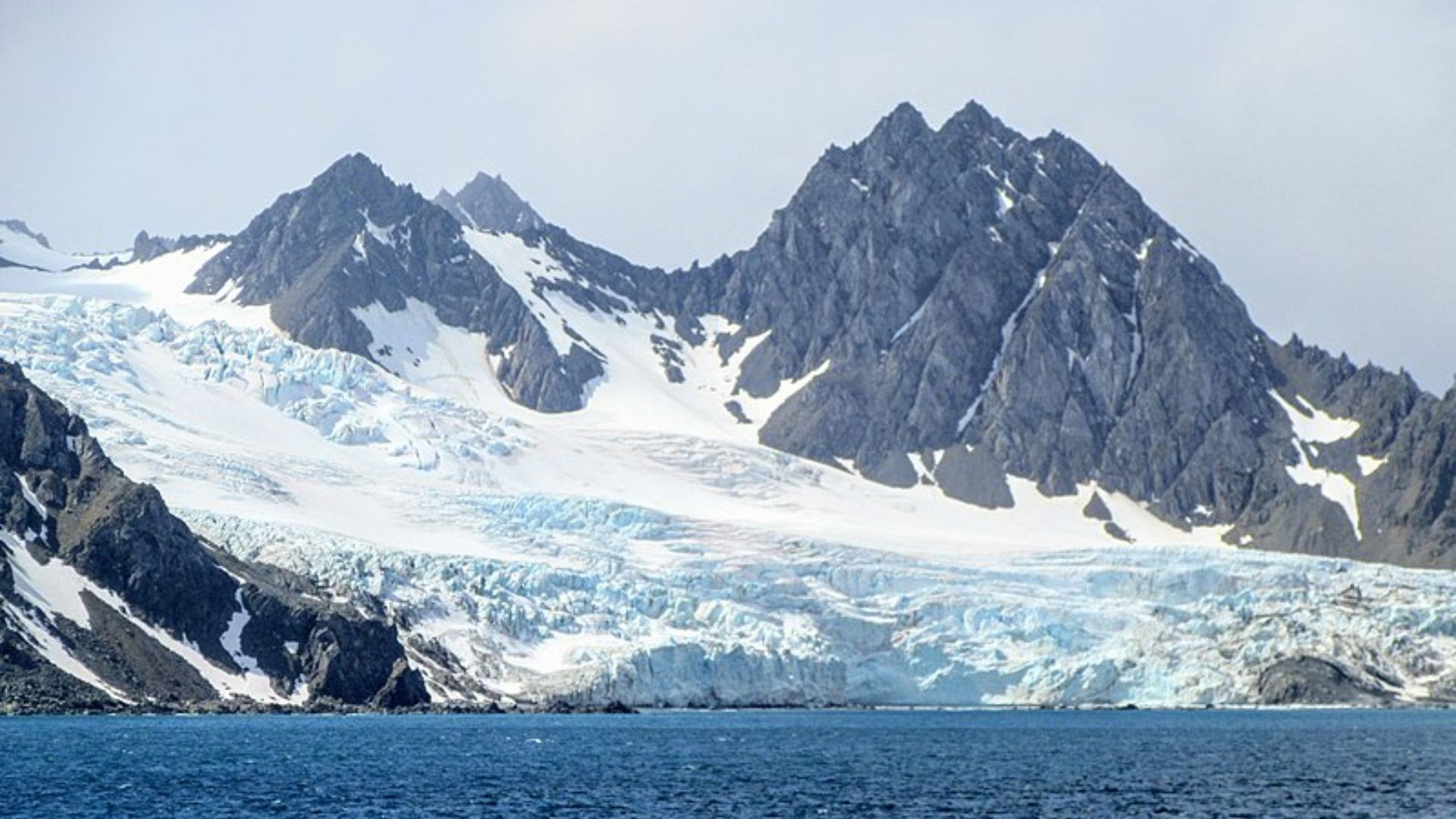 8 realms of biogeography: Earth's natural barriers