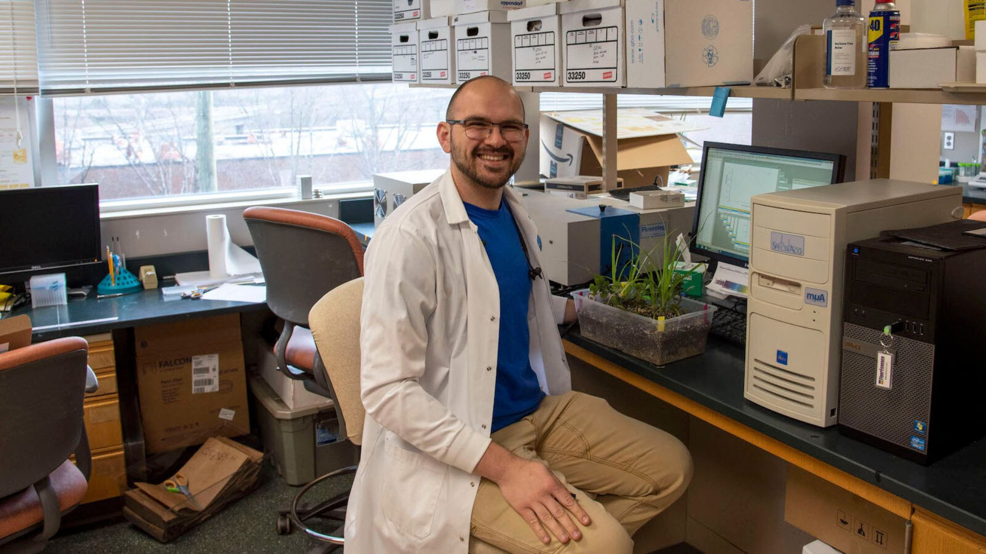 PhD student engineers potato plant that sniffs out nuclear radiations