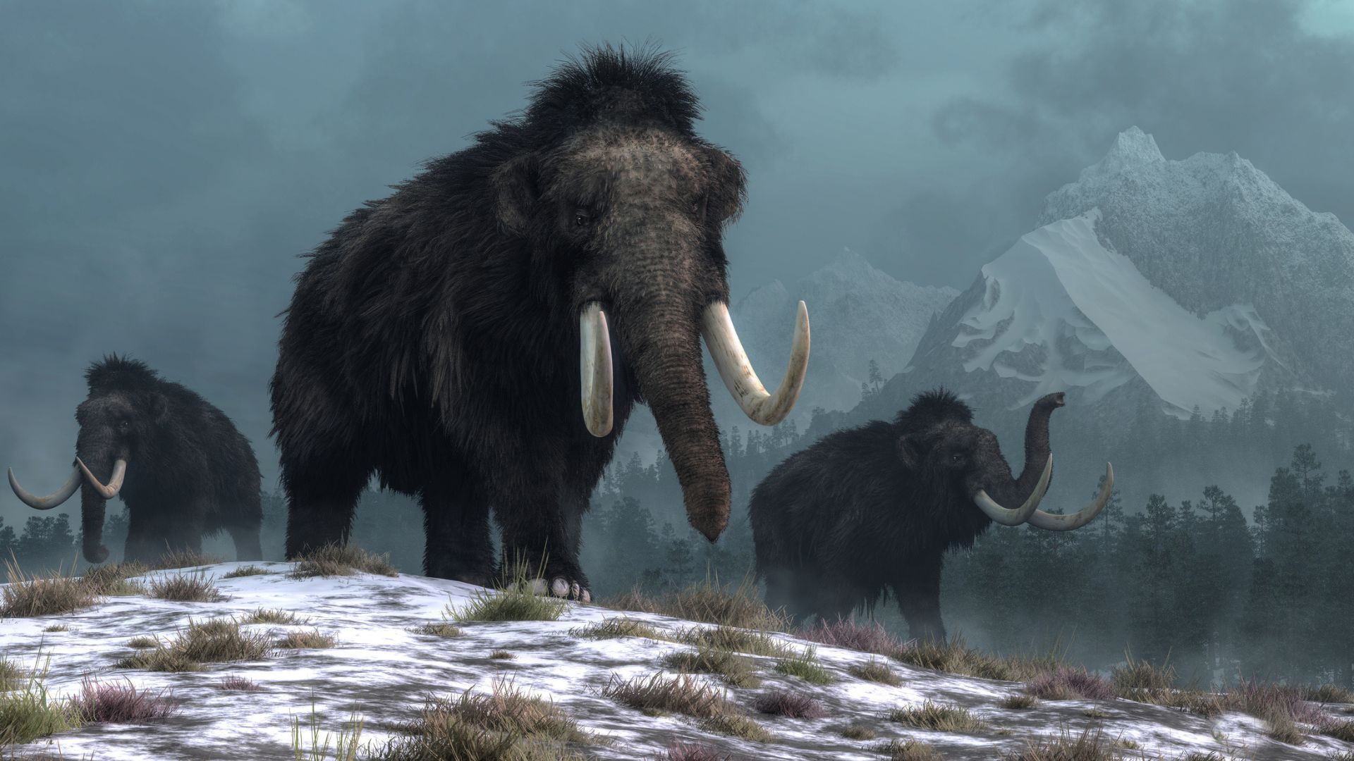 Researchers reveal ice age trigger to combat climate change