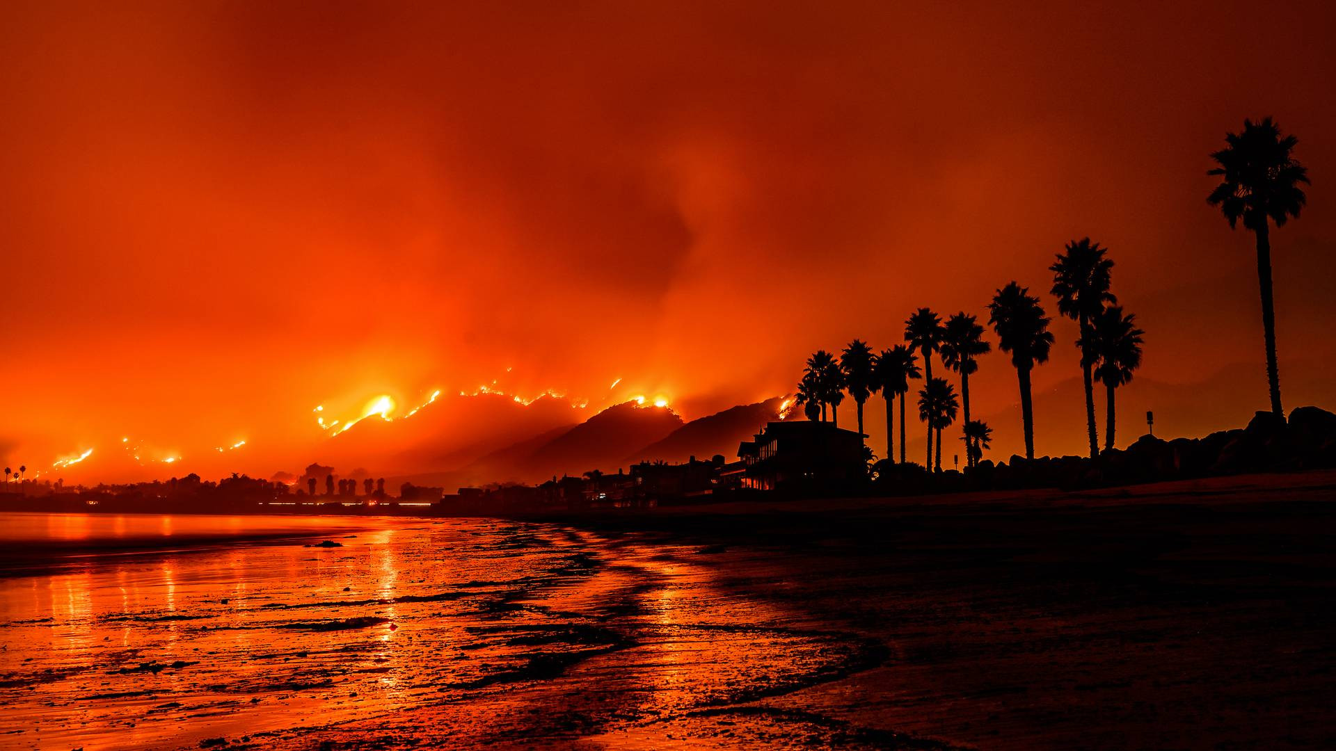 Wildfire ash causes oceanic marine life to grow and thrive