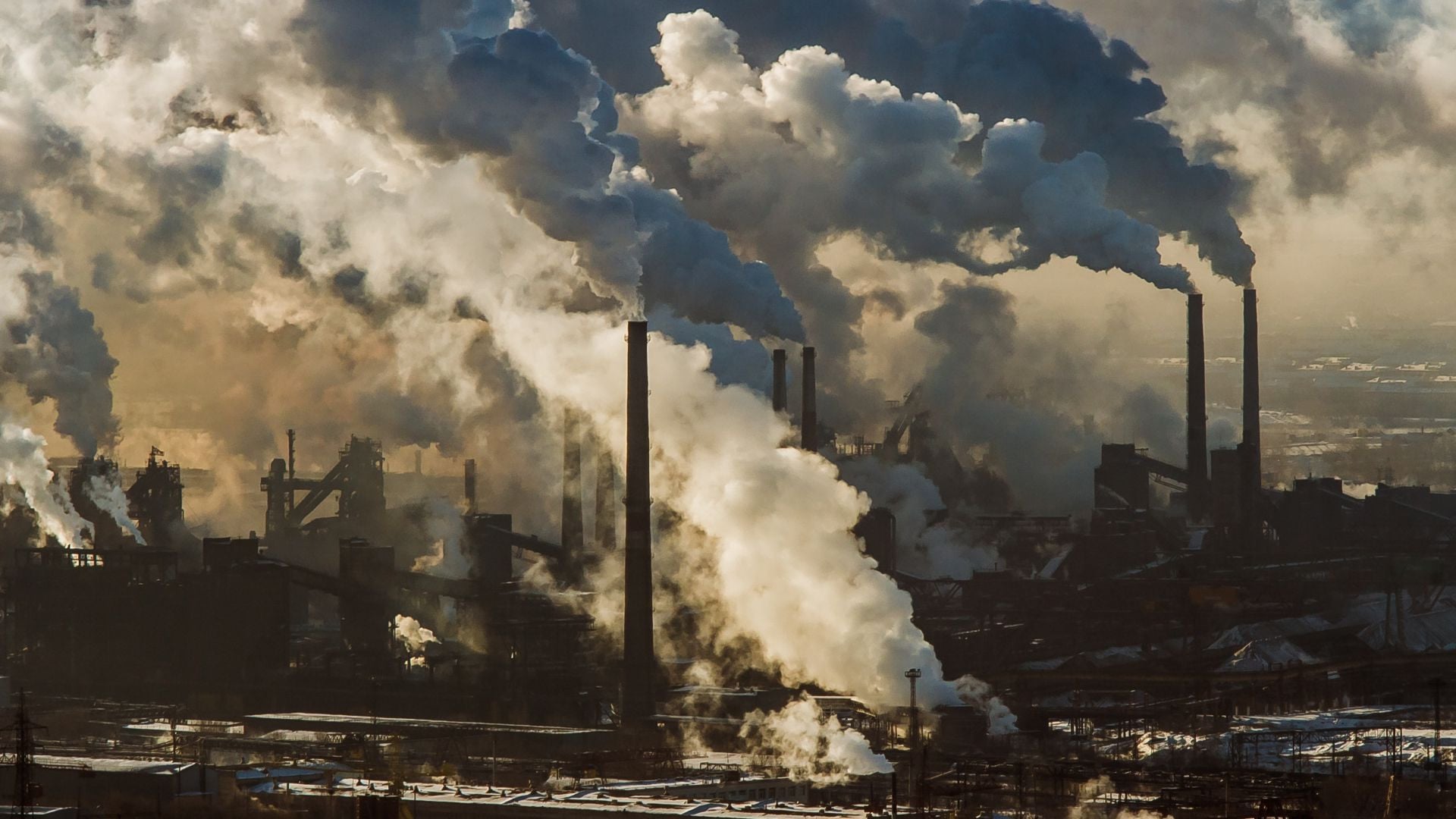 World pumping $7 trillion annually into activities destroying nature