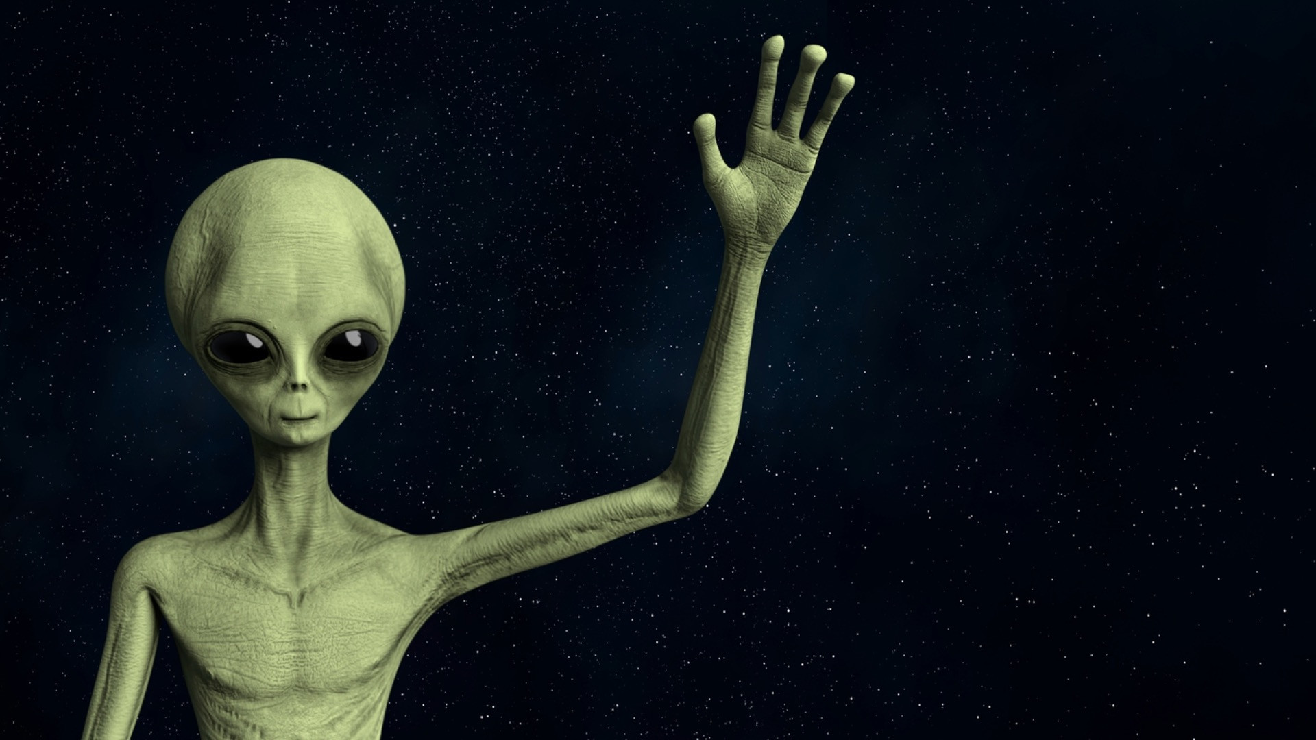 Scientists study humpback whales’ communication to decipher alien speech