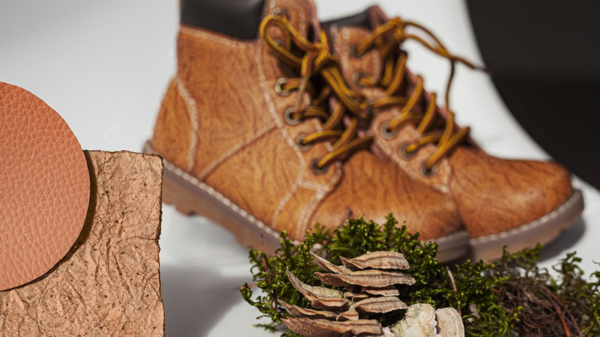 9 very interesting uses of fungi