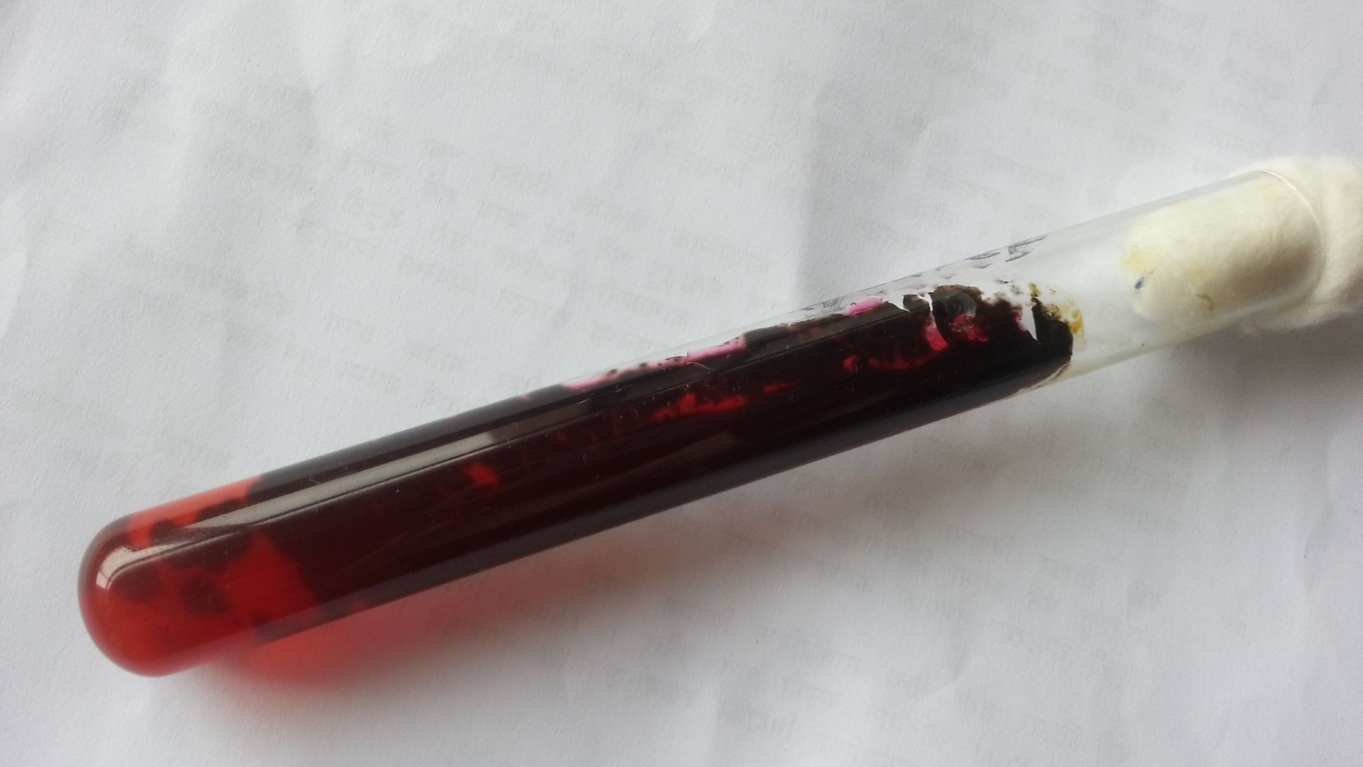 9 very interesting uses of fungi