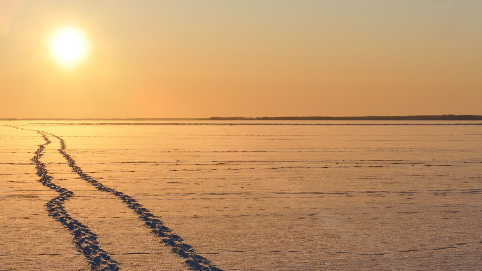 24,000-year-old secret sea ice highway, path to America discovered