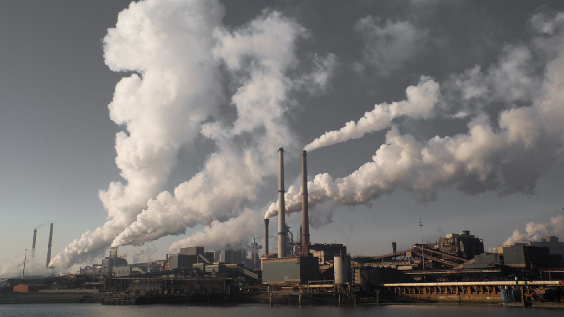 Harnessing carbon conversion for a sustainable tomorrow