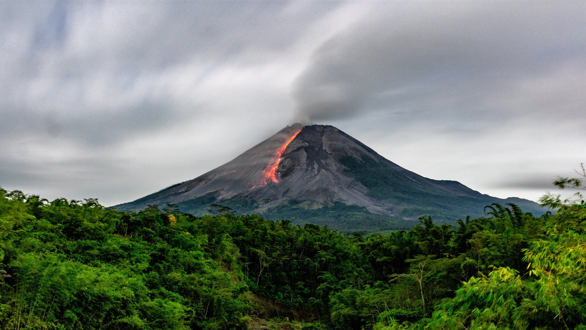 Greener plants can tell when a volcano is about to erupt