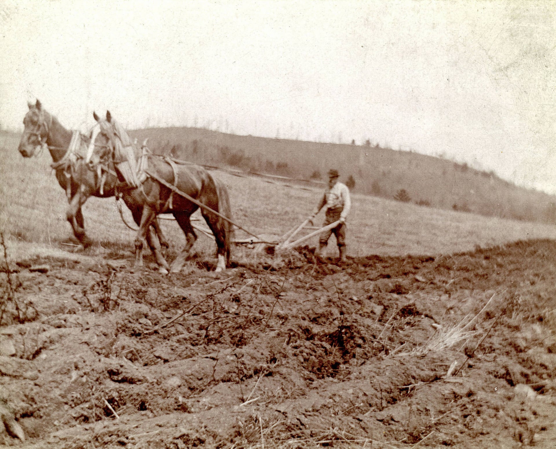 8 agricultural inventions that transformed the world